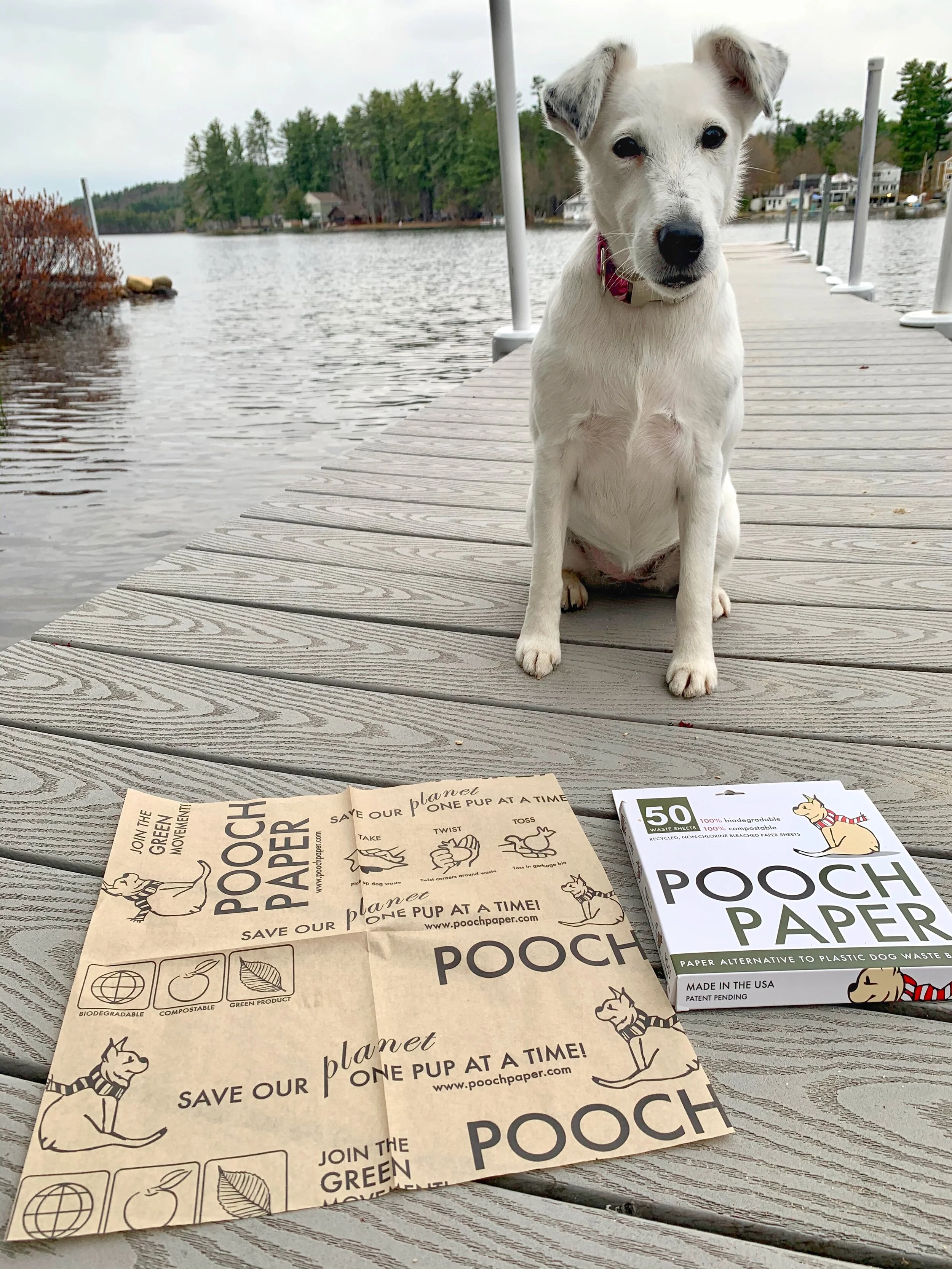 In the Press — Pooch Paper