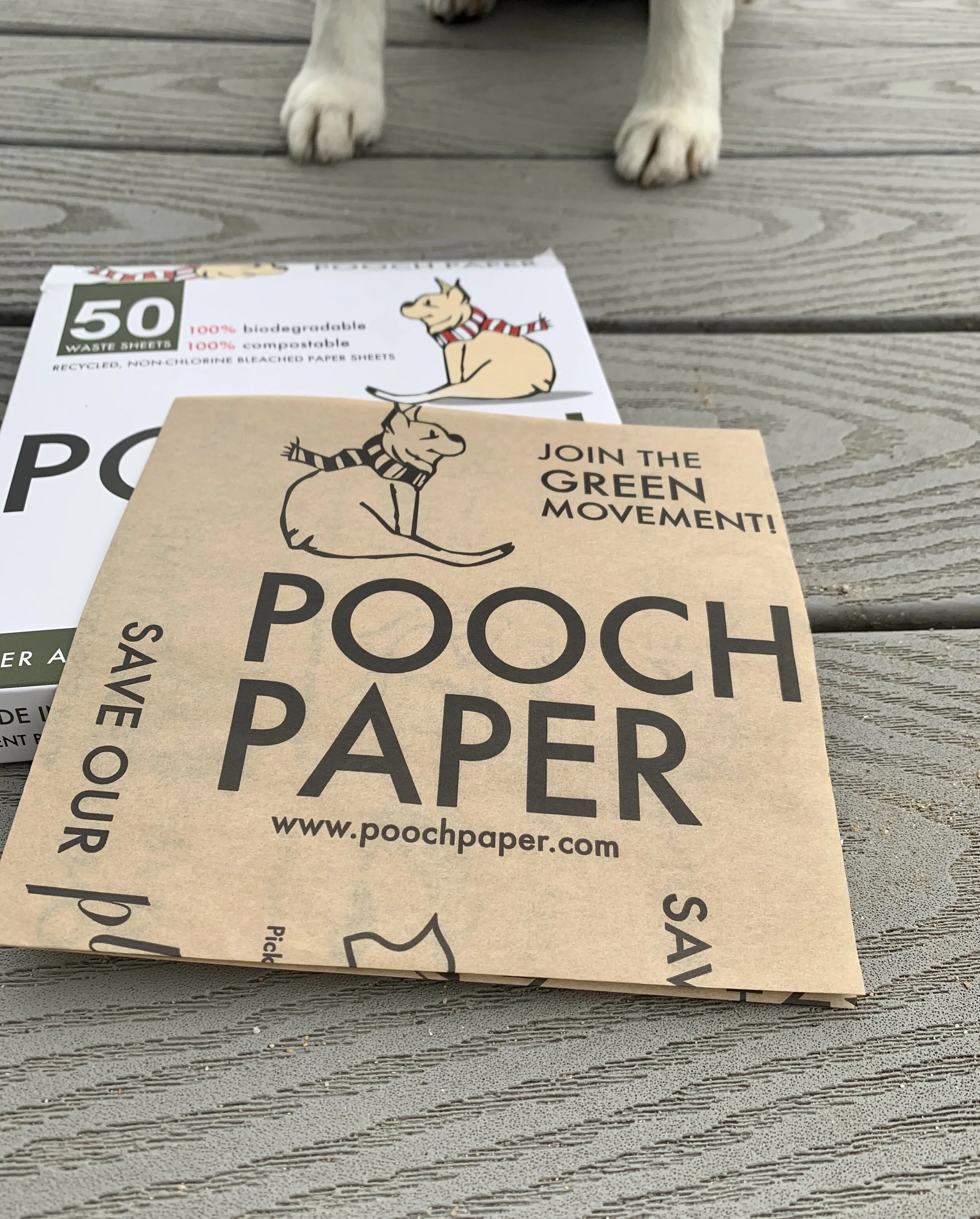In the Press — Pooch Paper