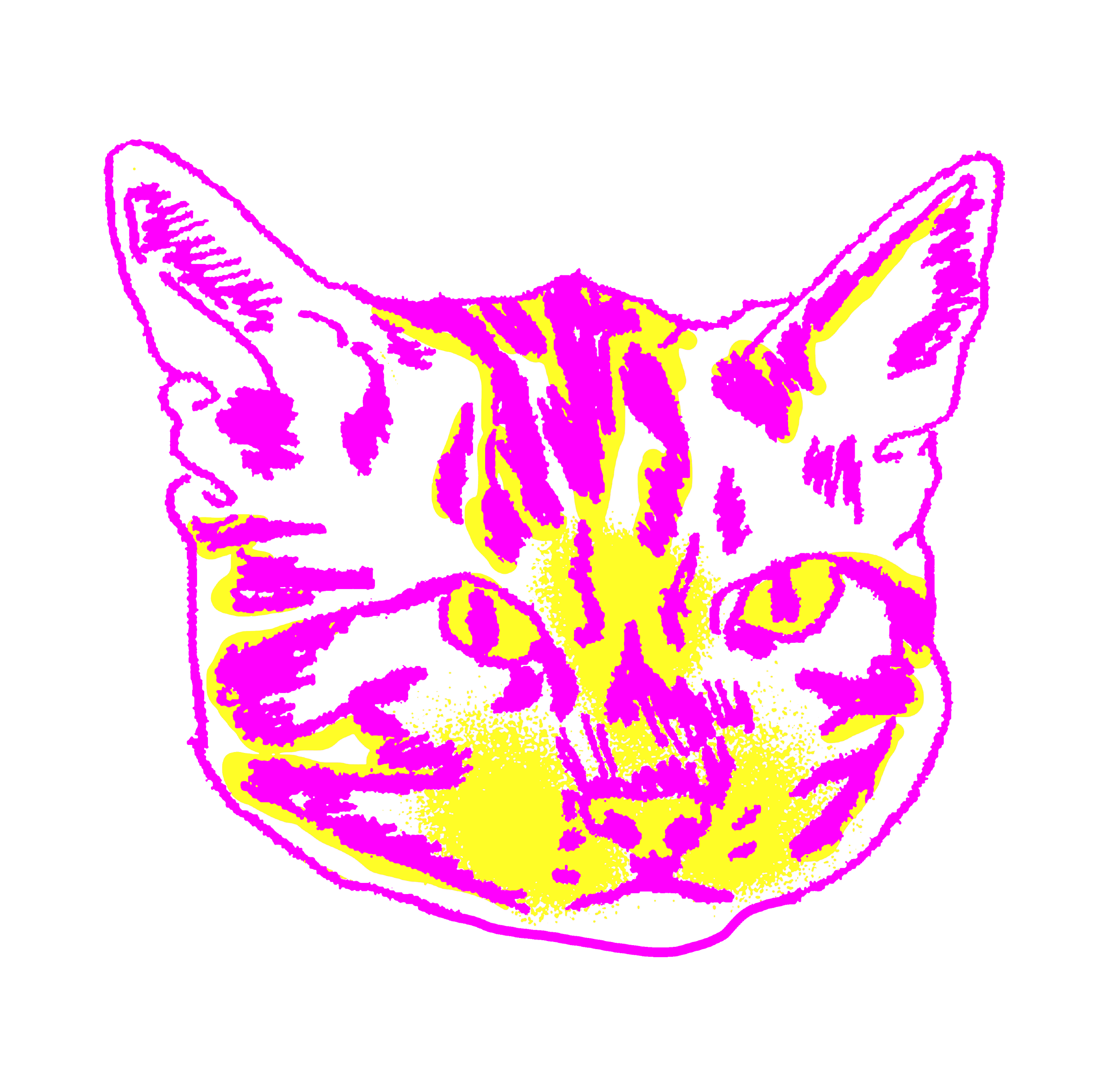 Acid Cat