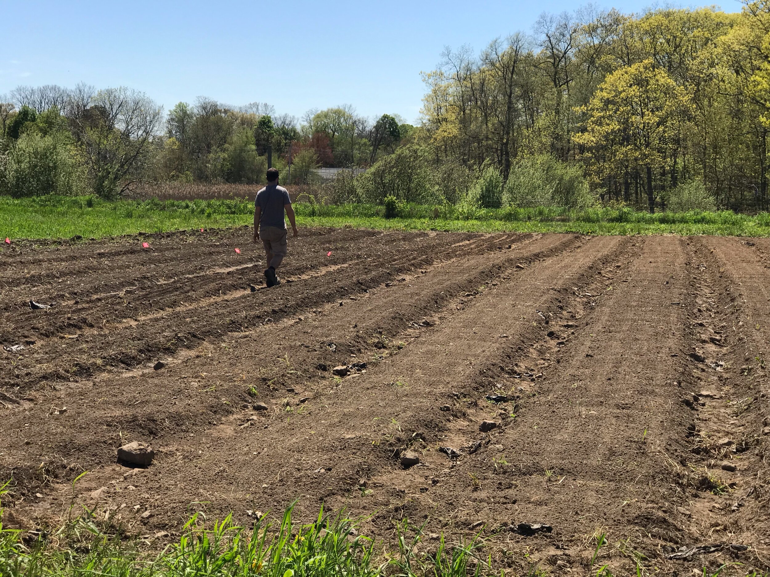 North of Boston Farm in Beverly, Massachusetts – Crown & Roots Farm ...