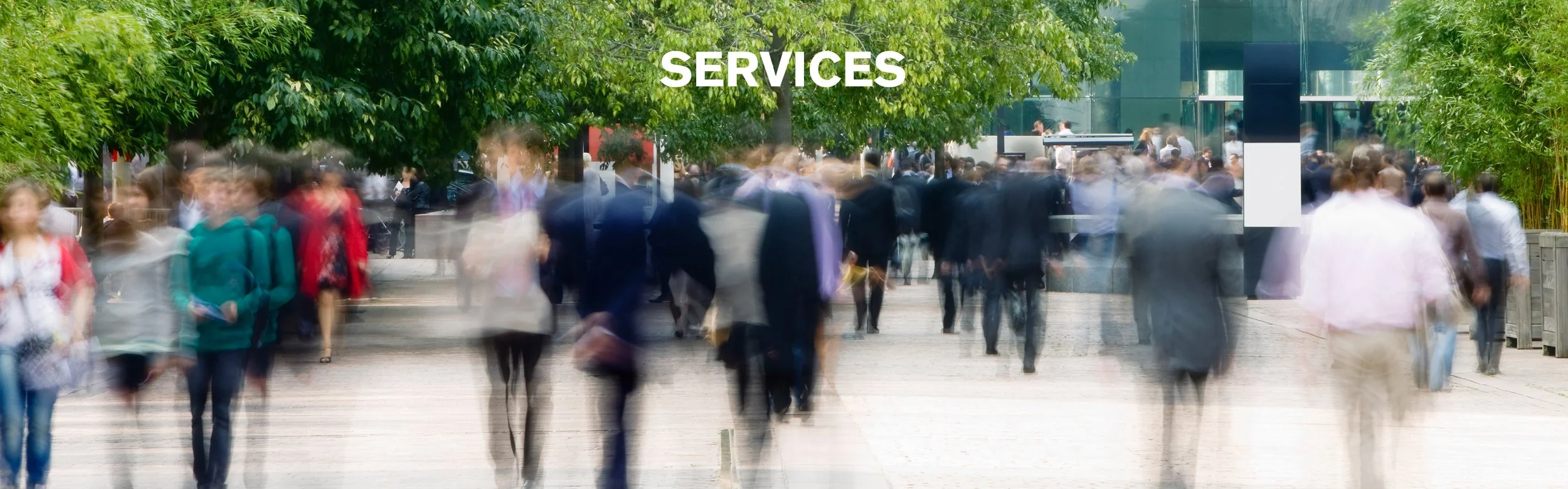 dexd services — dexd