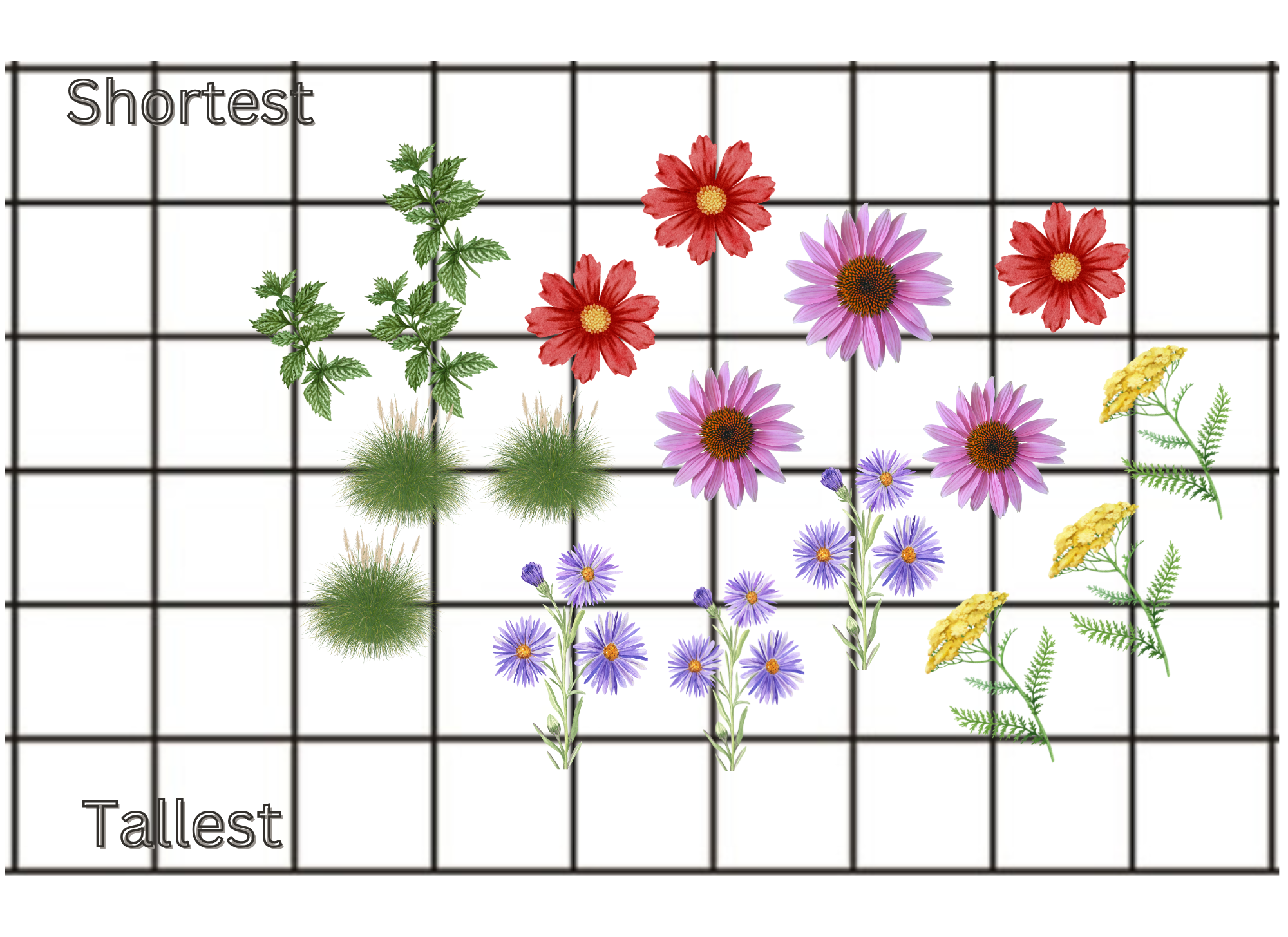 A Pollinator Patch Kit — The O Zone & Flower Power