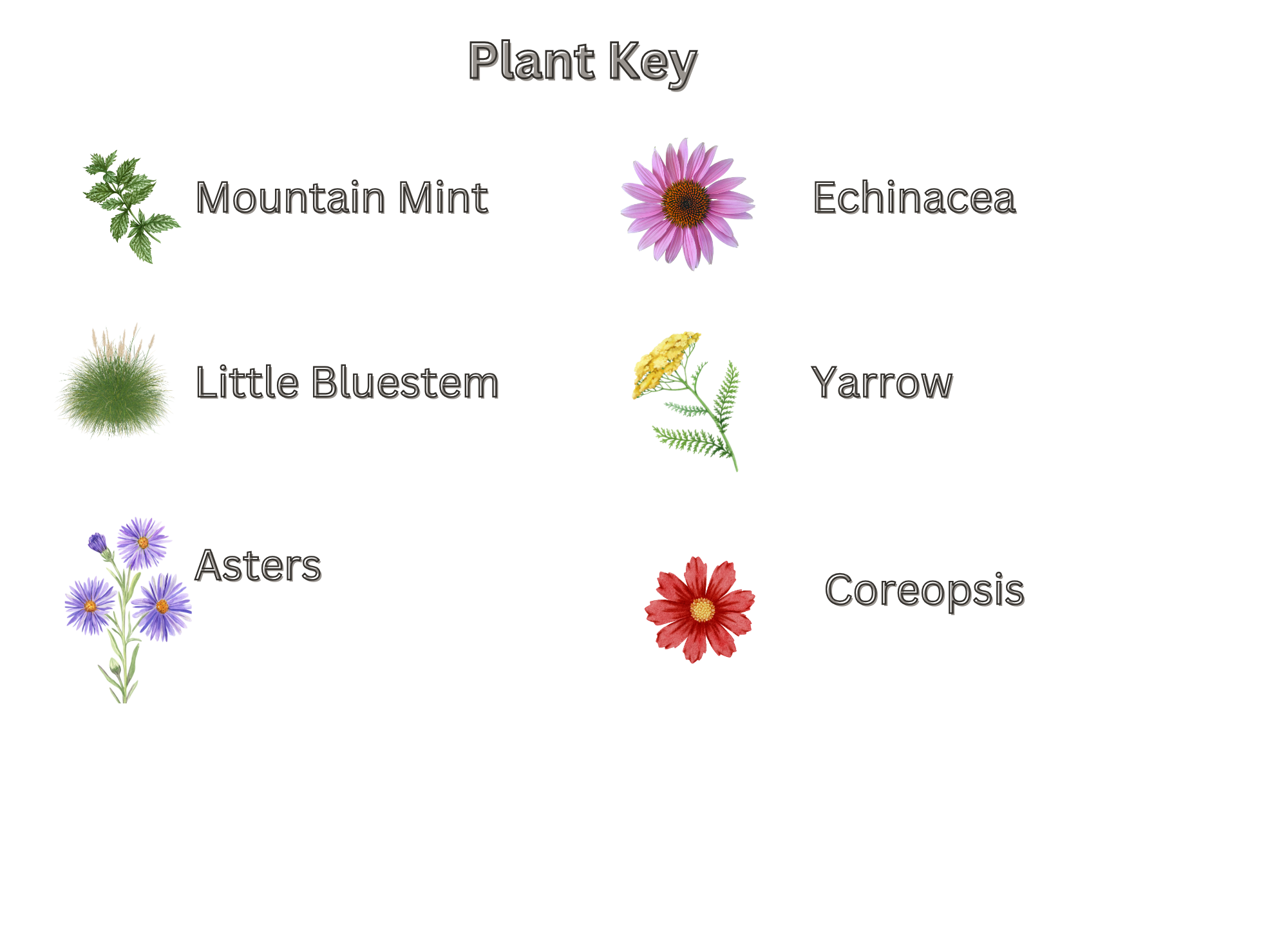 A Pollinator Patch Kit — The O Zone & Flower Power