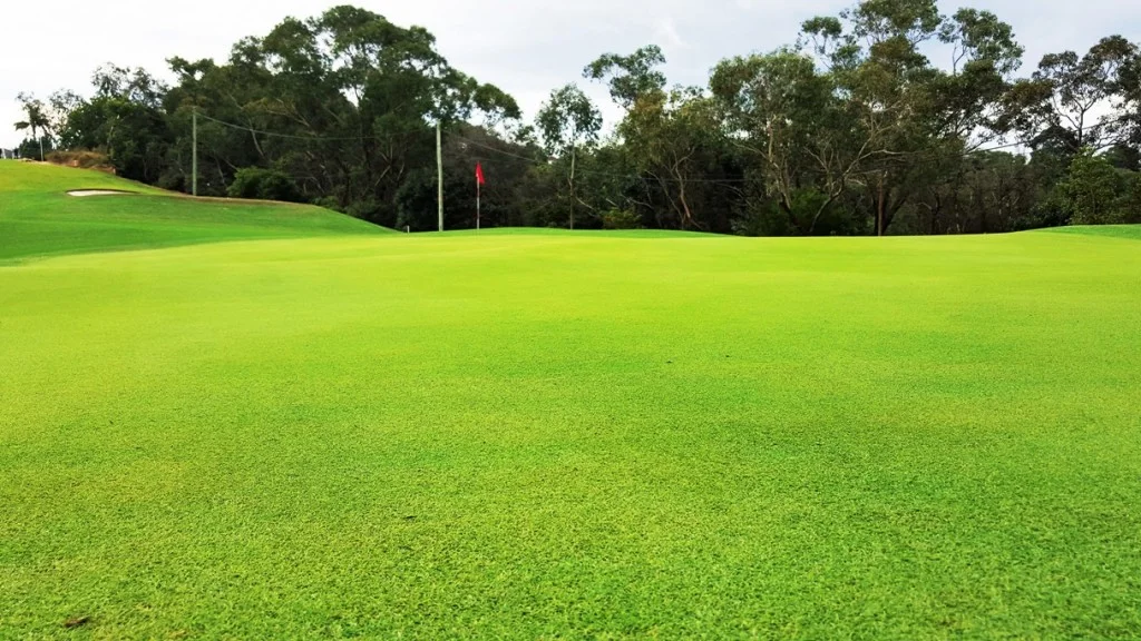 Contact - Northbridge Golf Club — Northbridge Golf Club