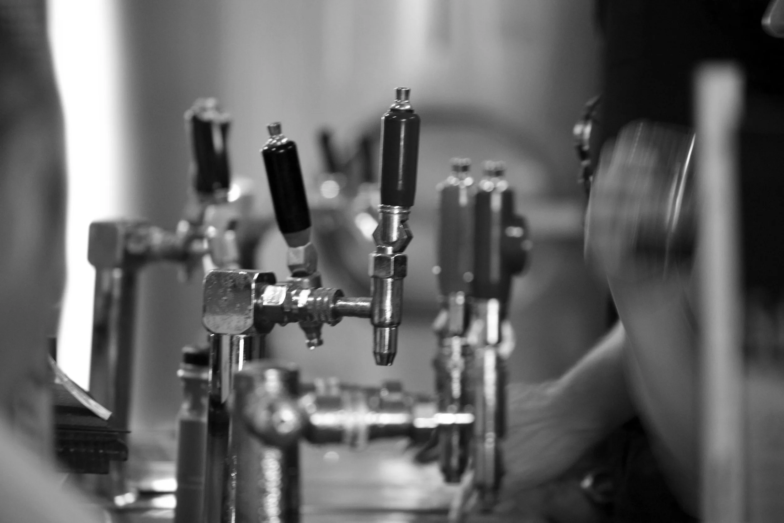 Oktoberfest 2023 Bayside Brewers oktoberfest-2023-bayside-brewers