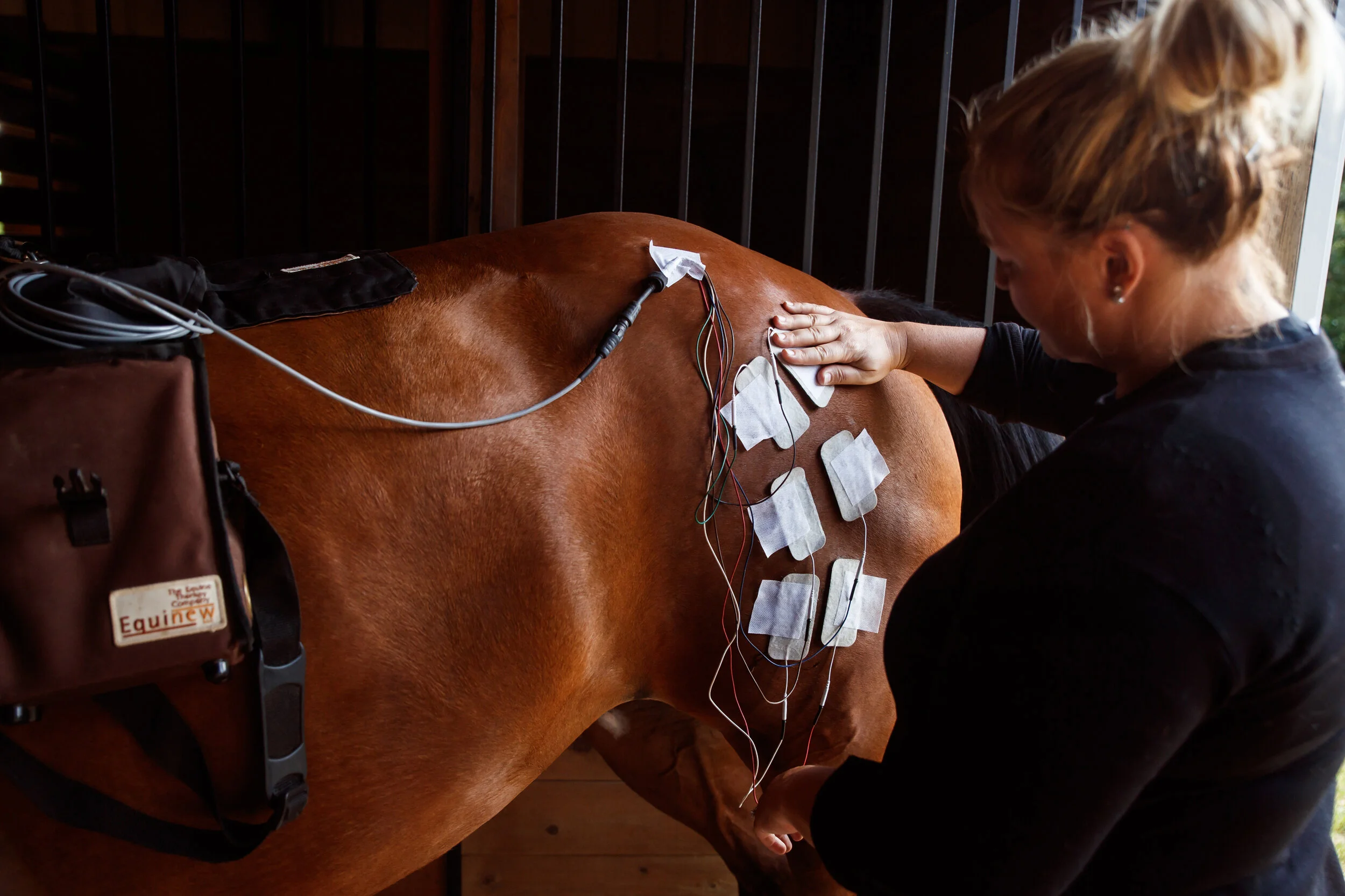 FES — Brooke Drassal Equine Bodywork