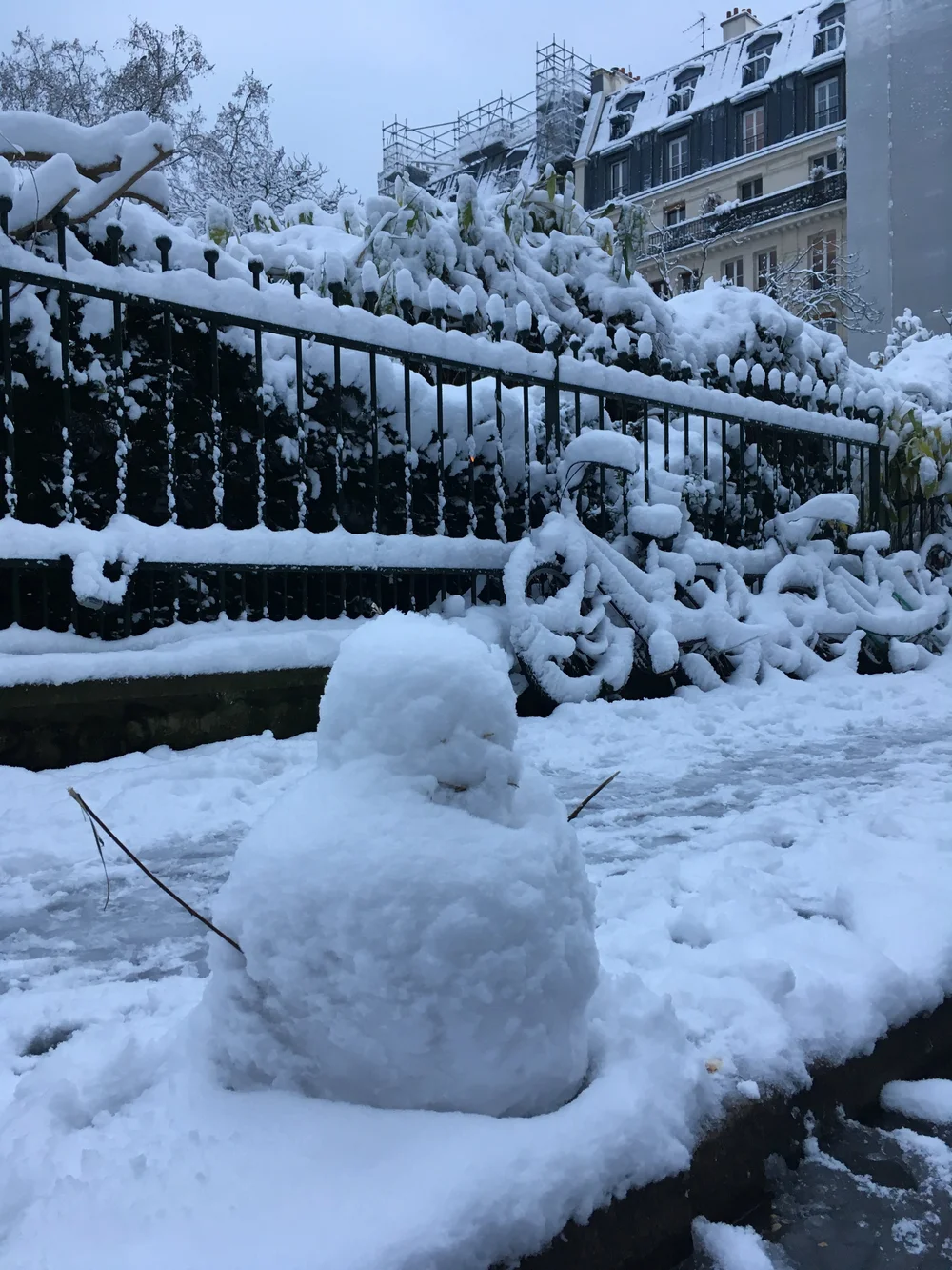 Paris in the Snow — Genuine France