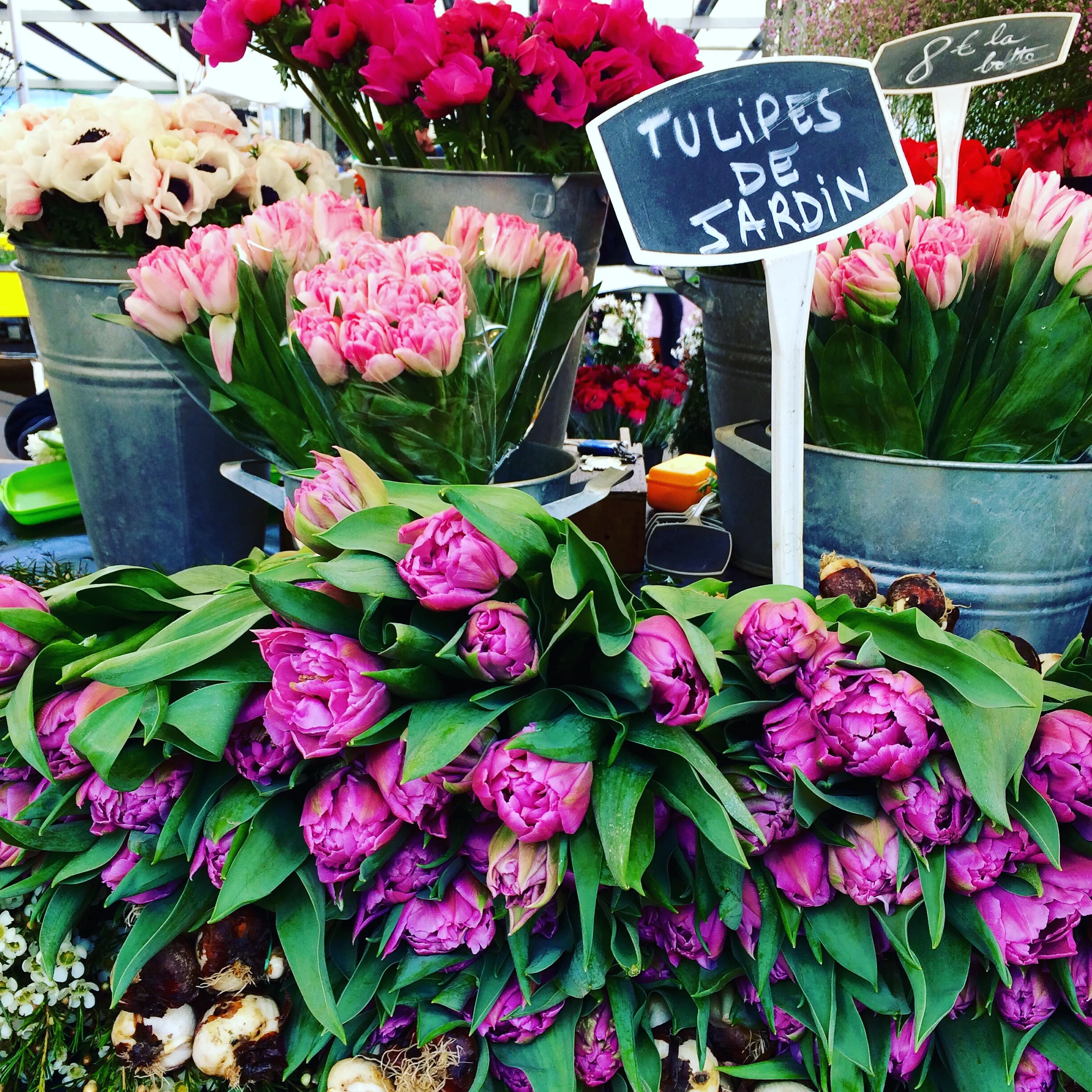 Market Day Nimes Genuine France