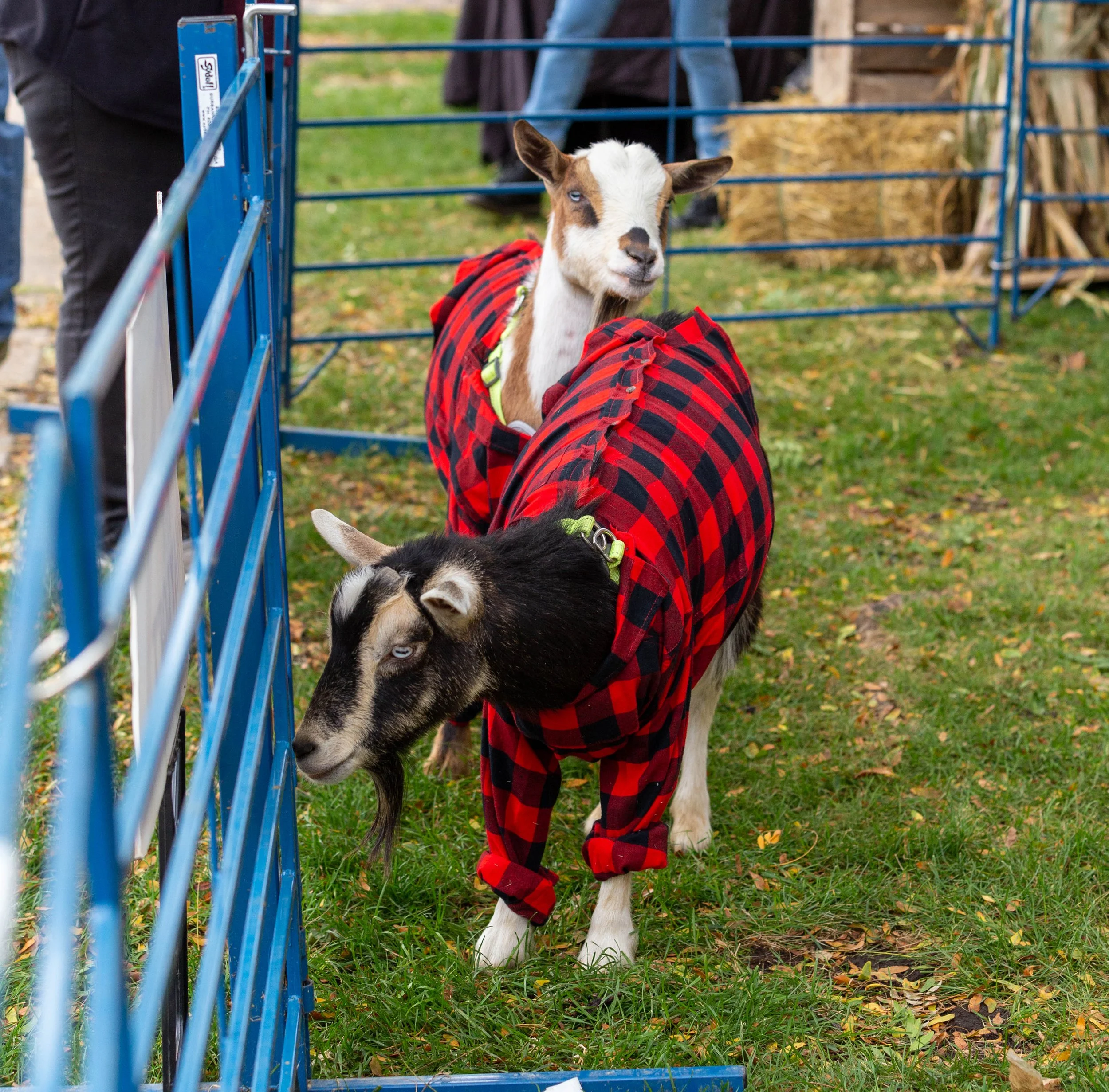 Events List — The Hayloft