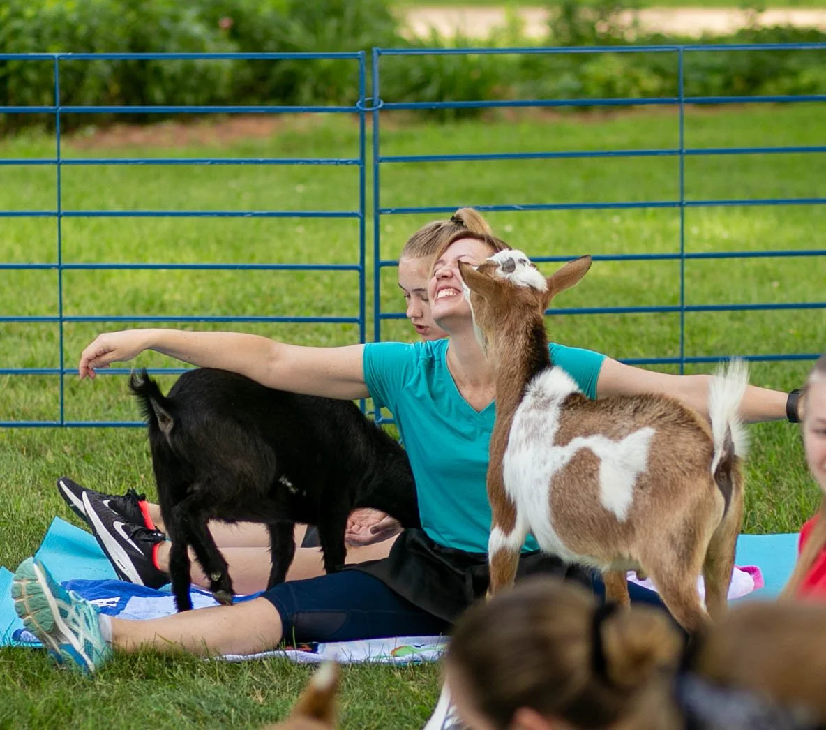 Goats — The Hayloft