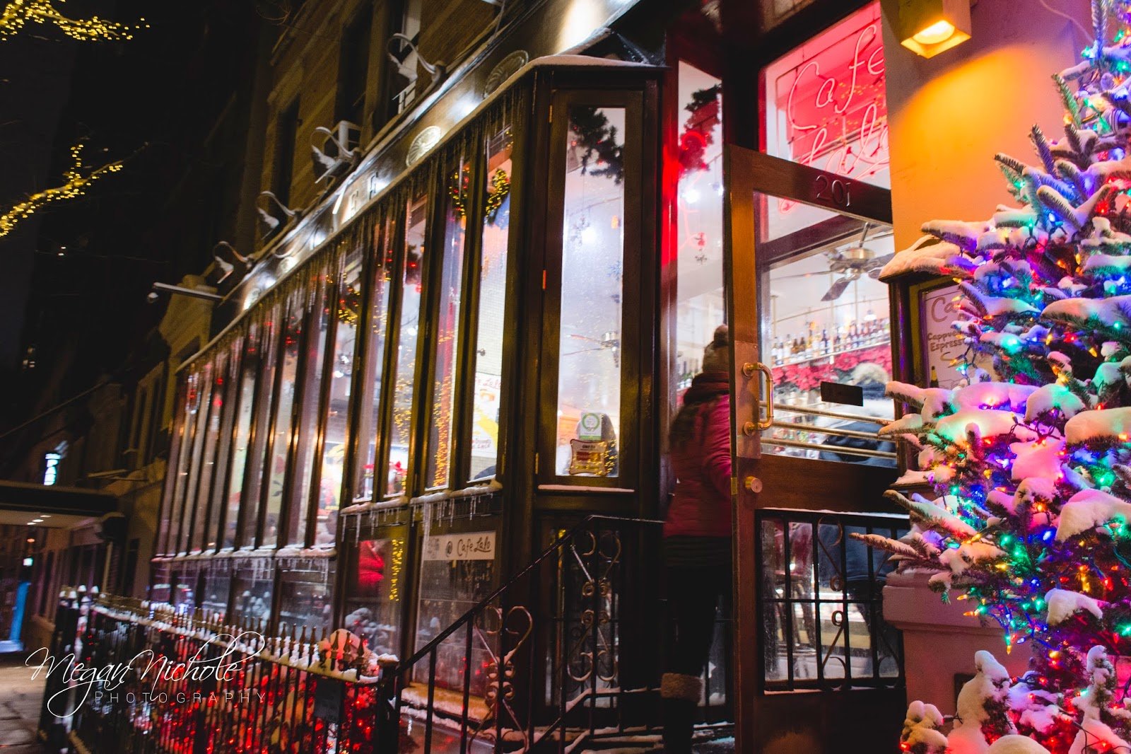 My Nights in NYC — Megan N. Stroud