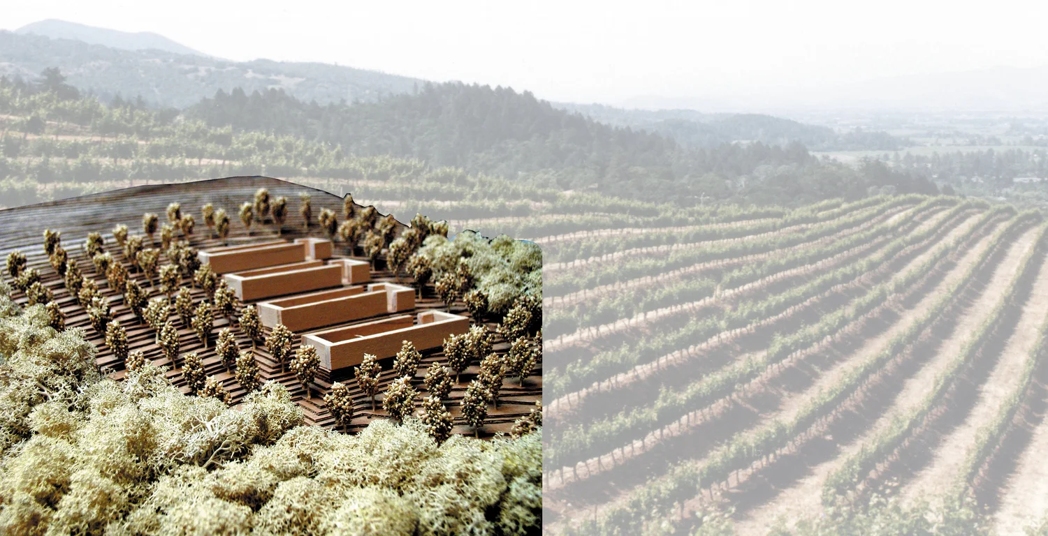 Sonoma Vineyard — MFLA | Munden Fry Landscape Associates