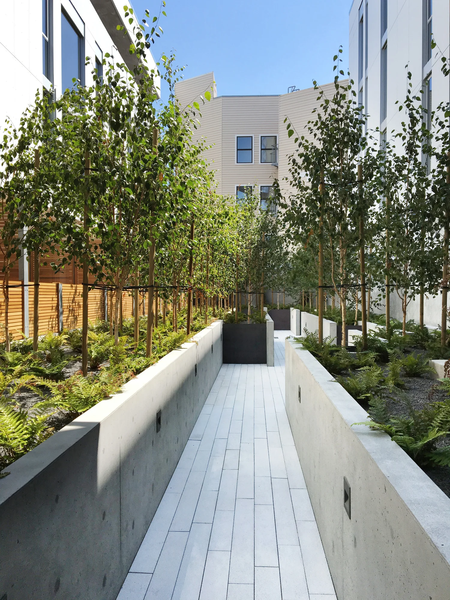 450 Hayes — MFLA | Munden Fry Landscape Associates