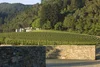 Sonoma Vineyard — MFLA | Munden Fry Landscape Associates