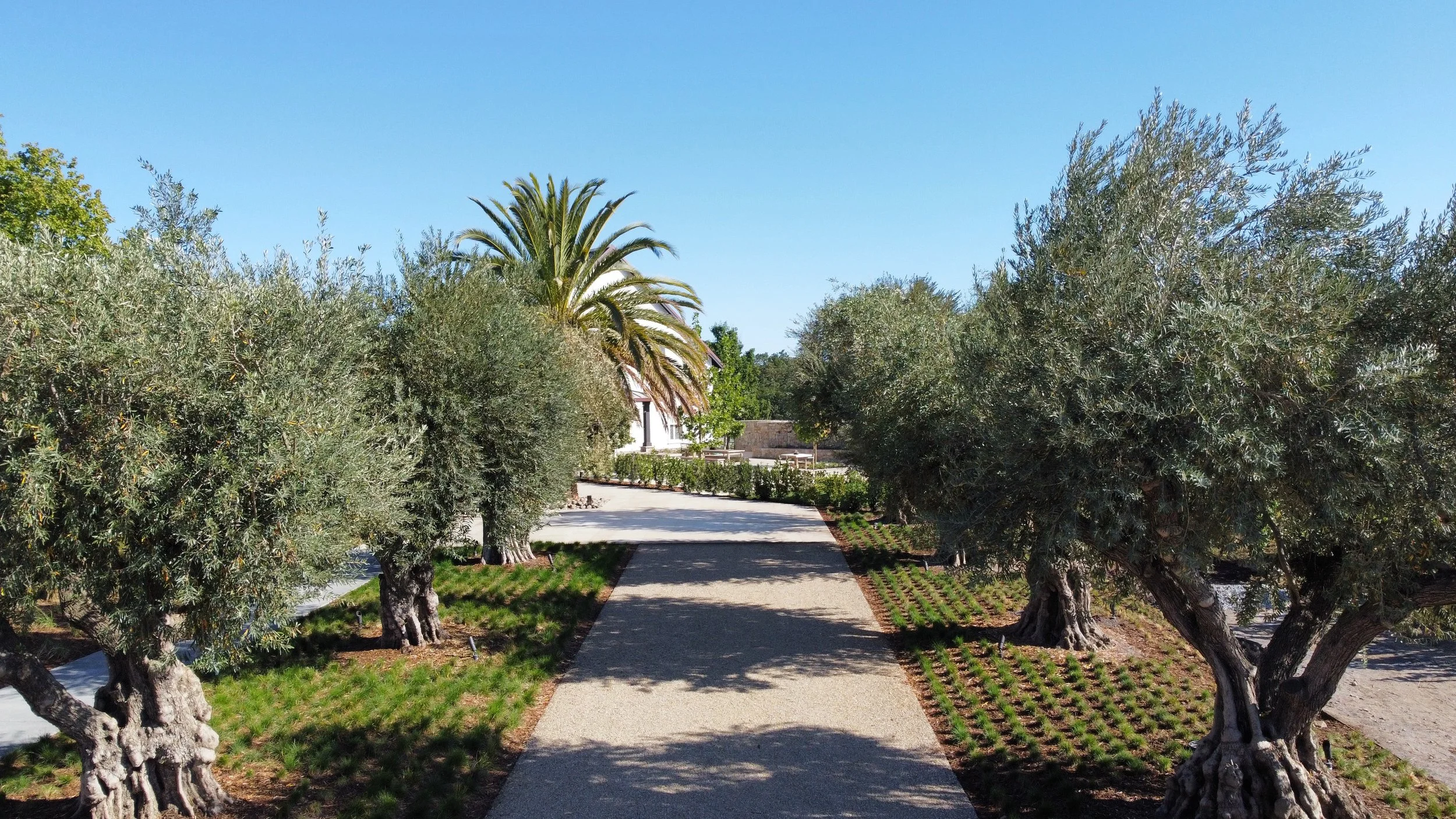 Merriam Vineyards — MFLA | Munden Fry Landscape Associates