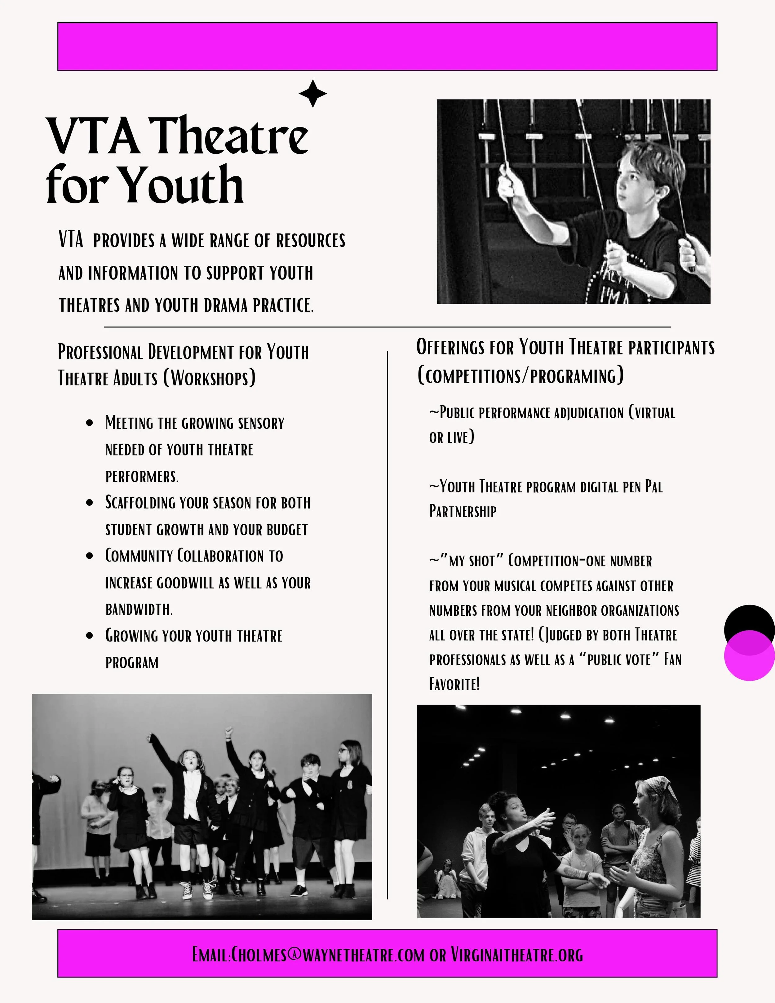 Theatre For Youth — Virginia Theatre Association