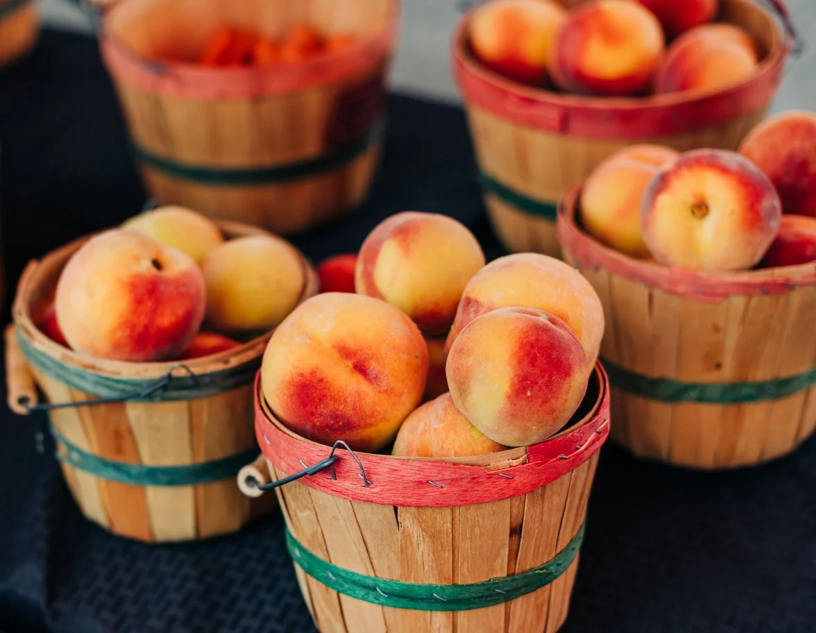 colorado fresh markets