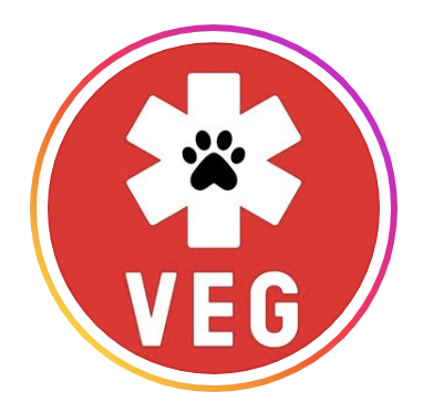 colorado fresh markets