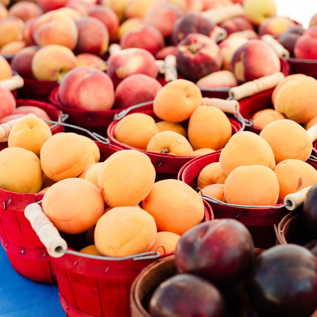 Visit — colorado fresh markets