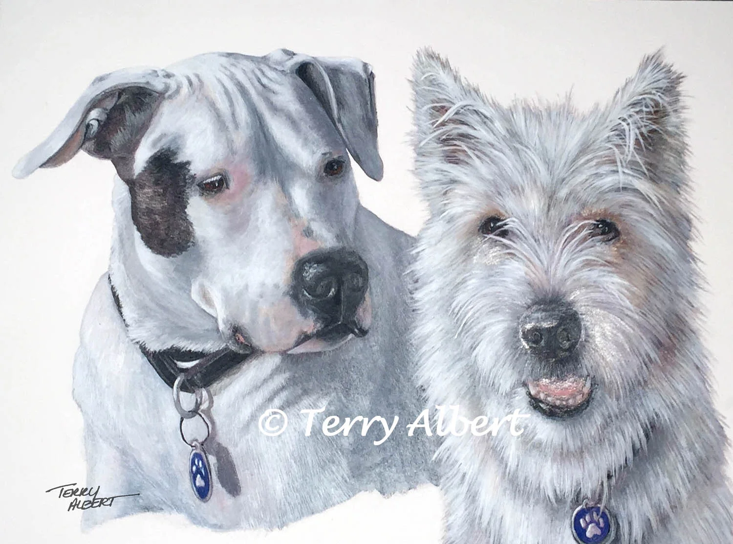 Terry Albert, artist