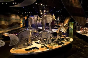 Permanent Exhibits — Western Science Center