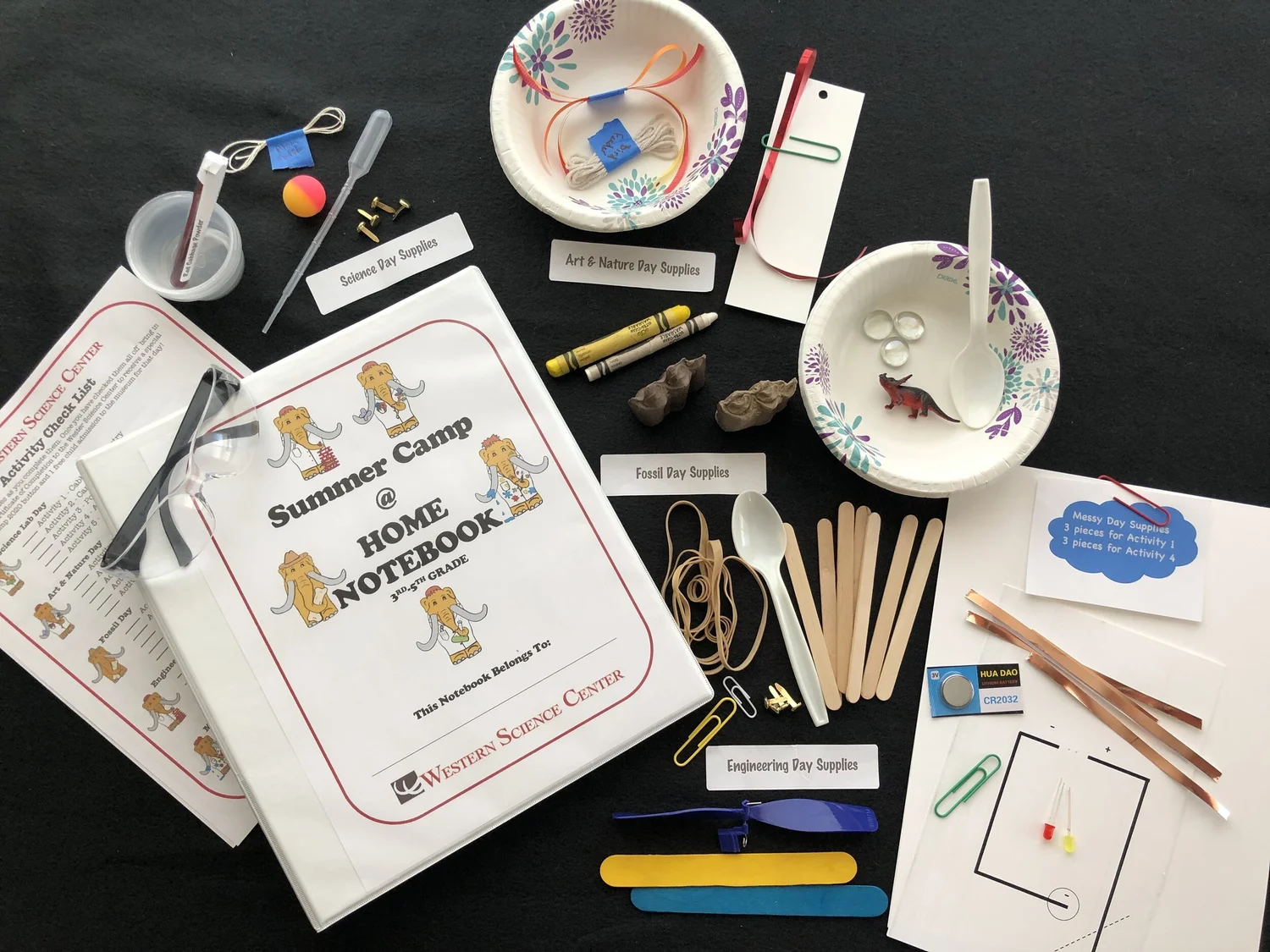 Summer Camps @ Home Bundle — Western Science Center