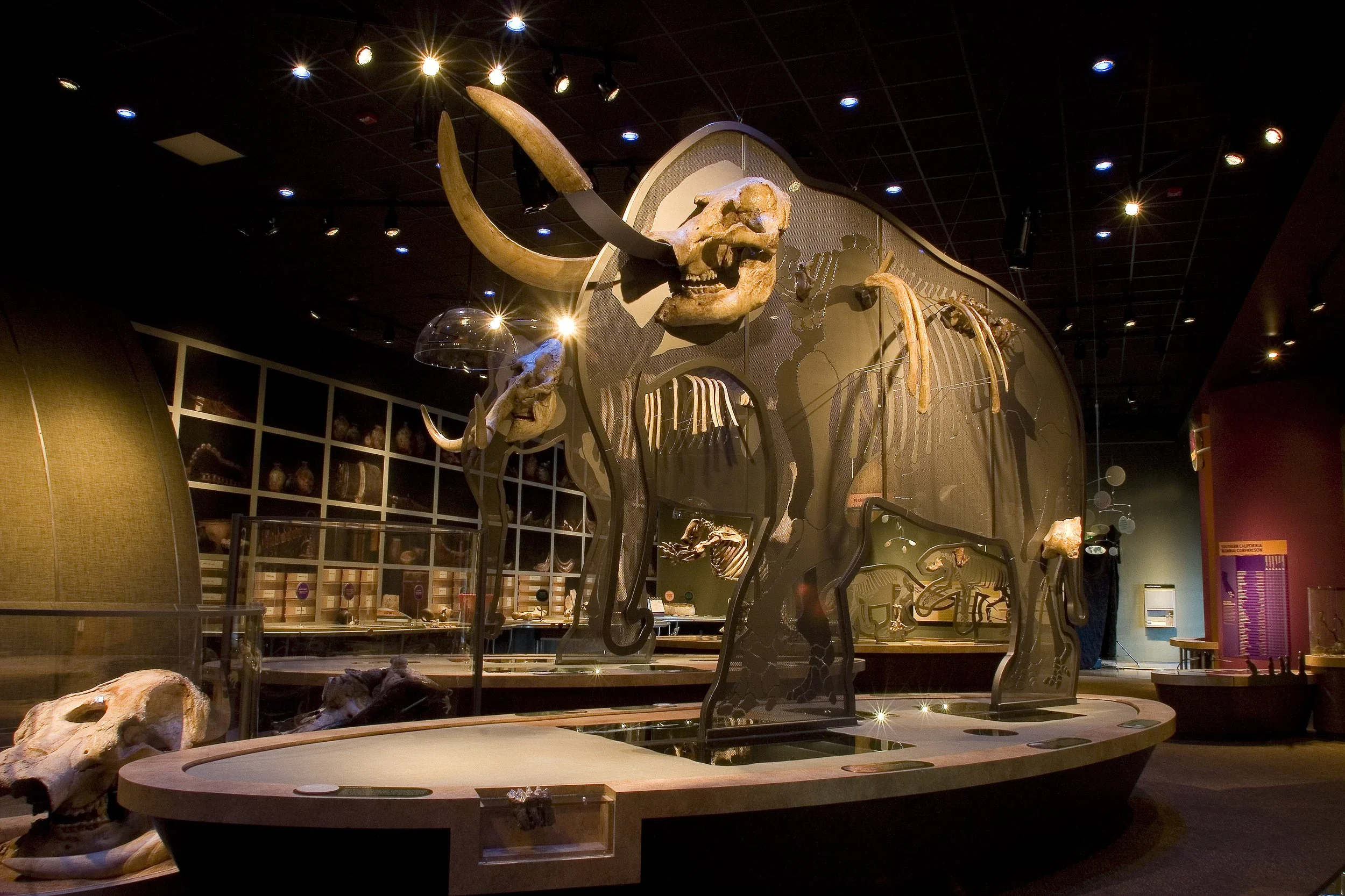 Western Science Center