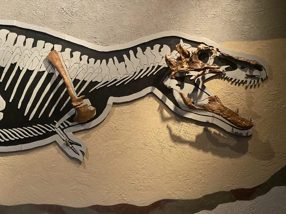 Library Pass Program — Western Science Center