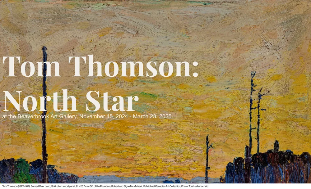 Vicky Lentz, Visual Artist