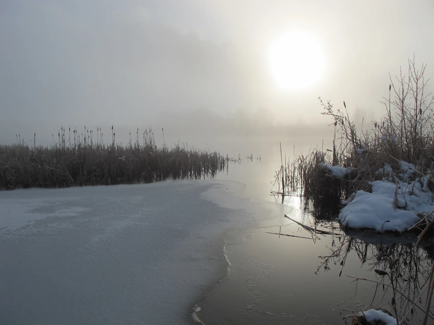 Vicky Lentz, Visual Artist