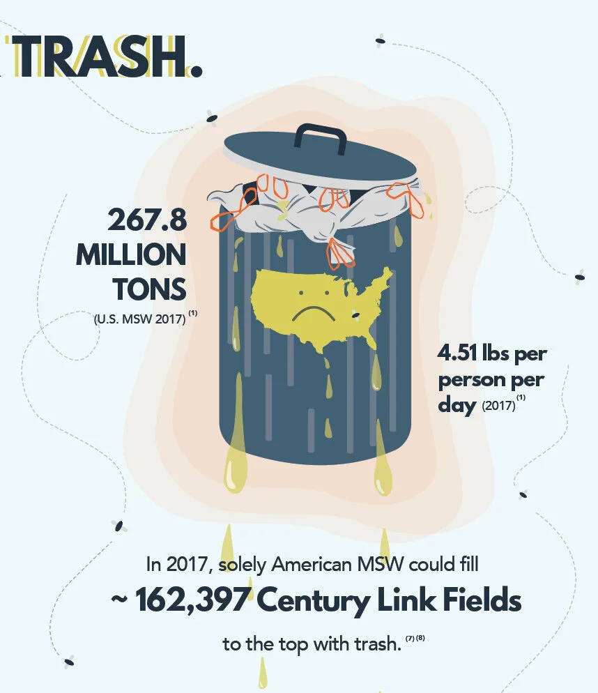 America, Let's Talk Trash Infographic — Anneke's Portfolio