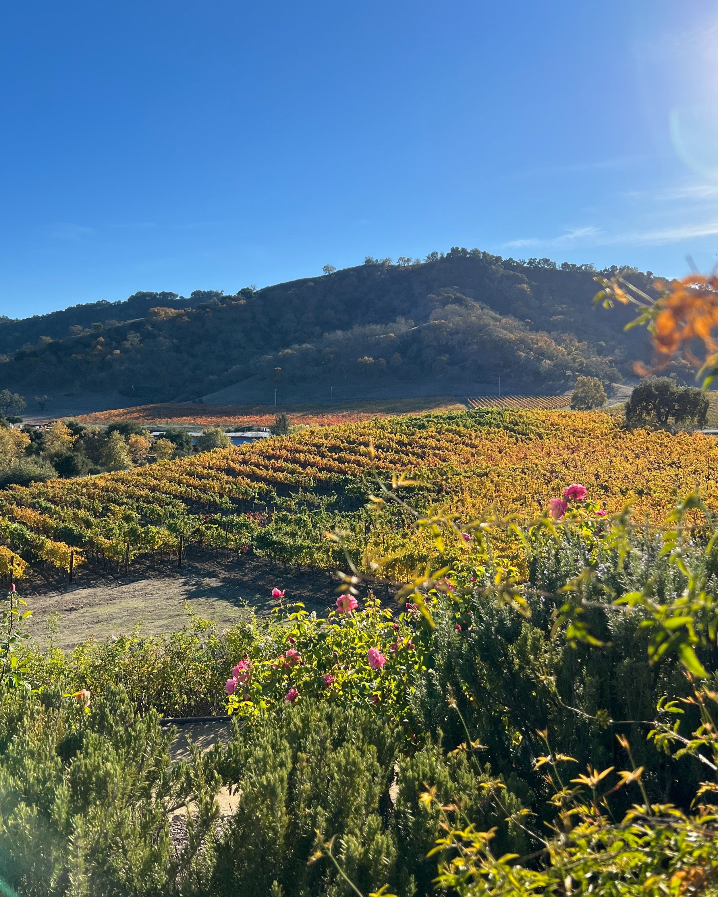 5 Neighborhoods to Explore — Visit Morgan Hill