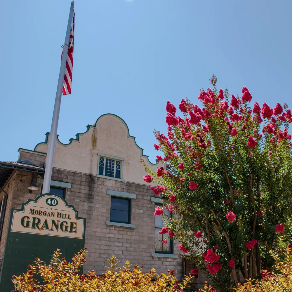 Love Local in Morgan Hill — Visit Morgan Hill