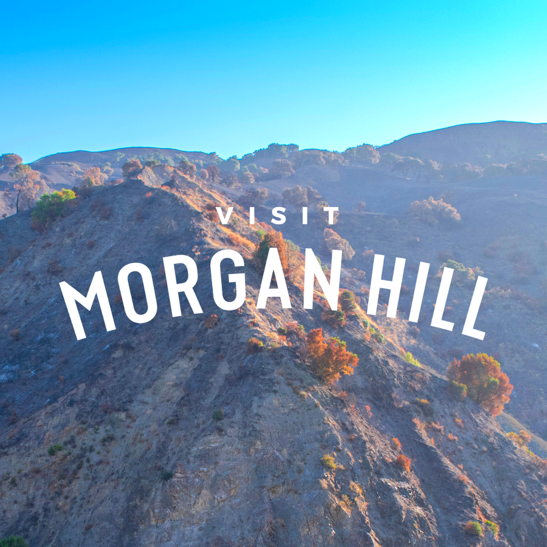 Visitor E-News — Visit Morgan Hill