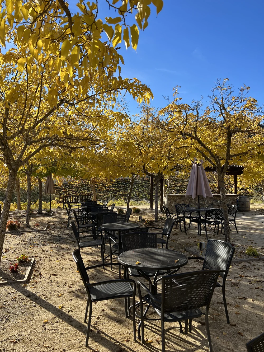 Picture Perfect Wineries in Morgan Hill — Visit Morgan Hill