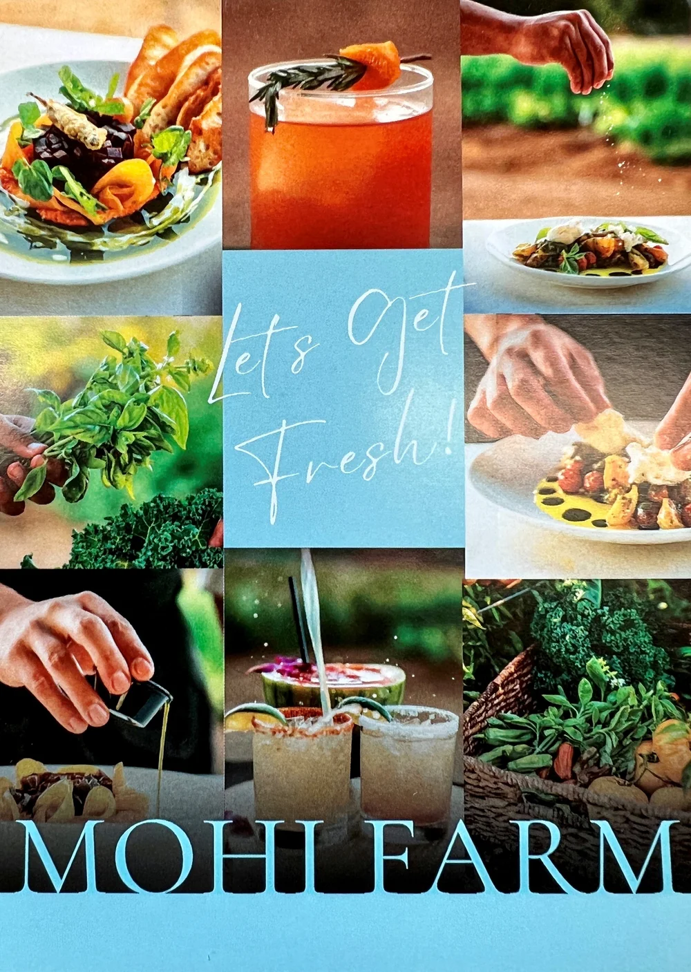 Get Fresh at MOHI Farm in Morgan Hill, California — Visit Morgan Hill