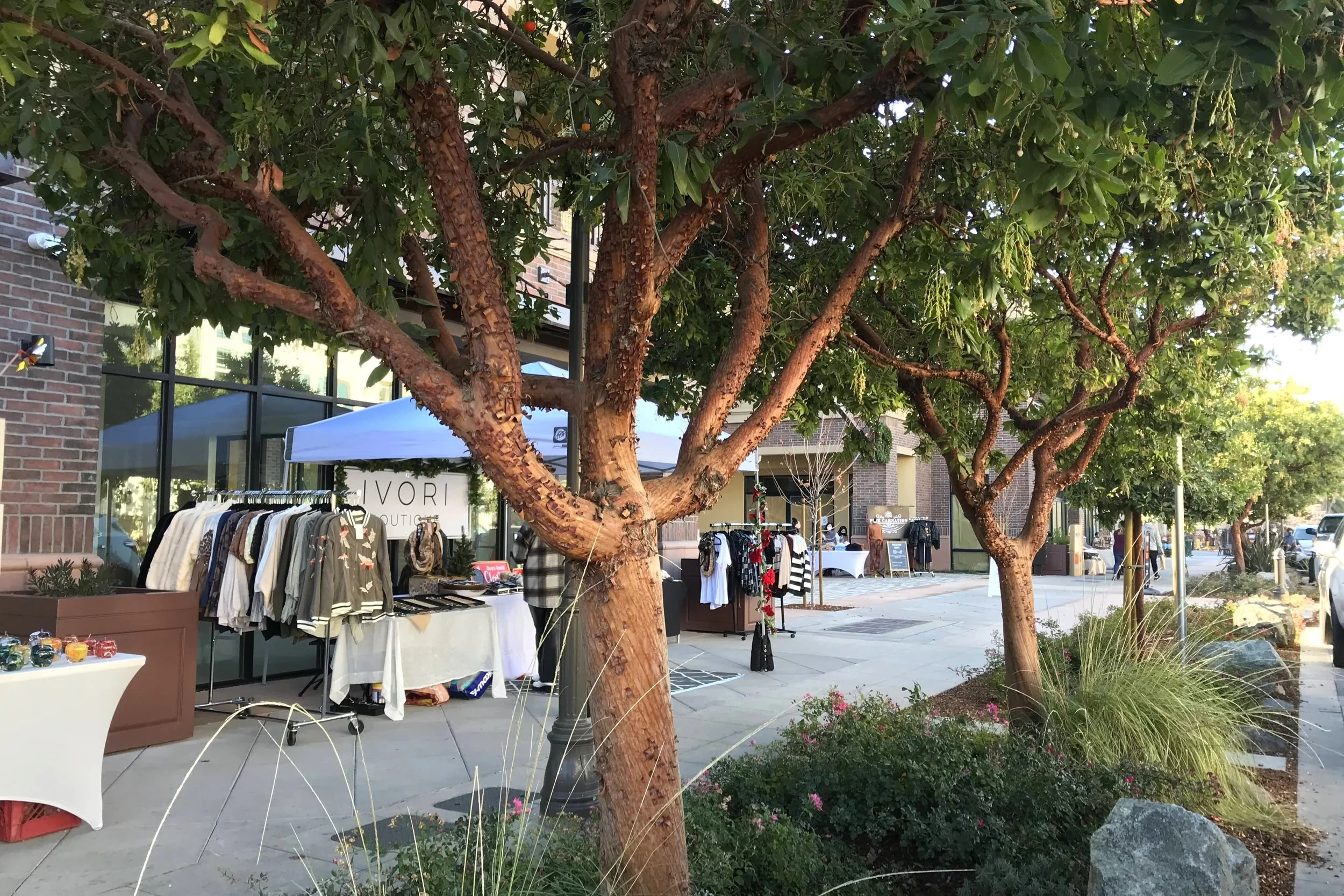 How To Spend a Weekend in Morgan Hill, California — Visit Morgan Hill