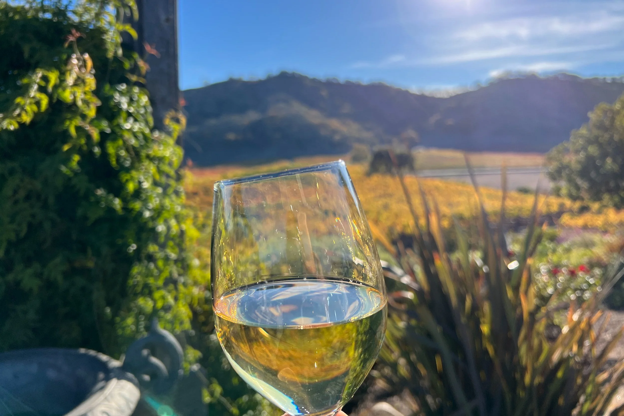 Picture Perfect Wineries in Morgan Hill — Visit Morgan Hill
