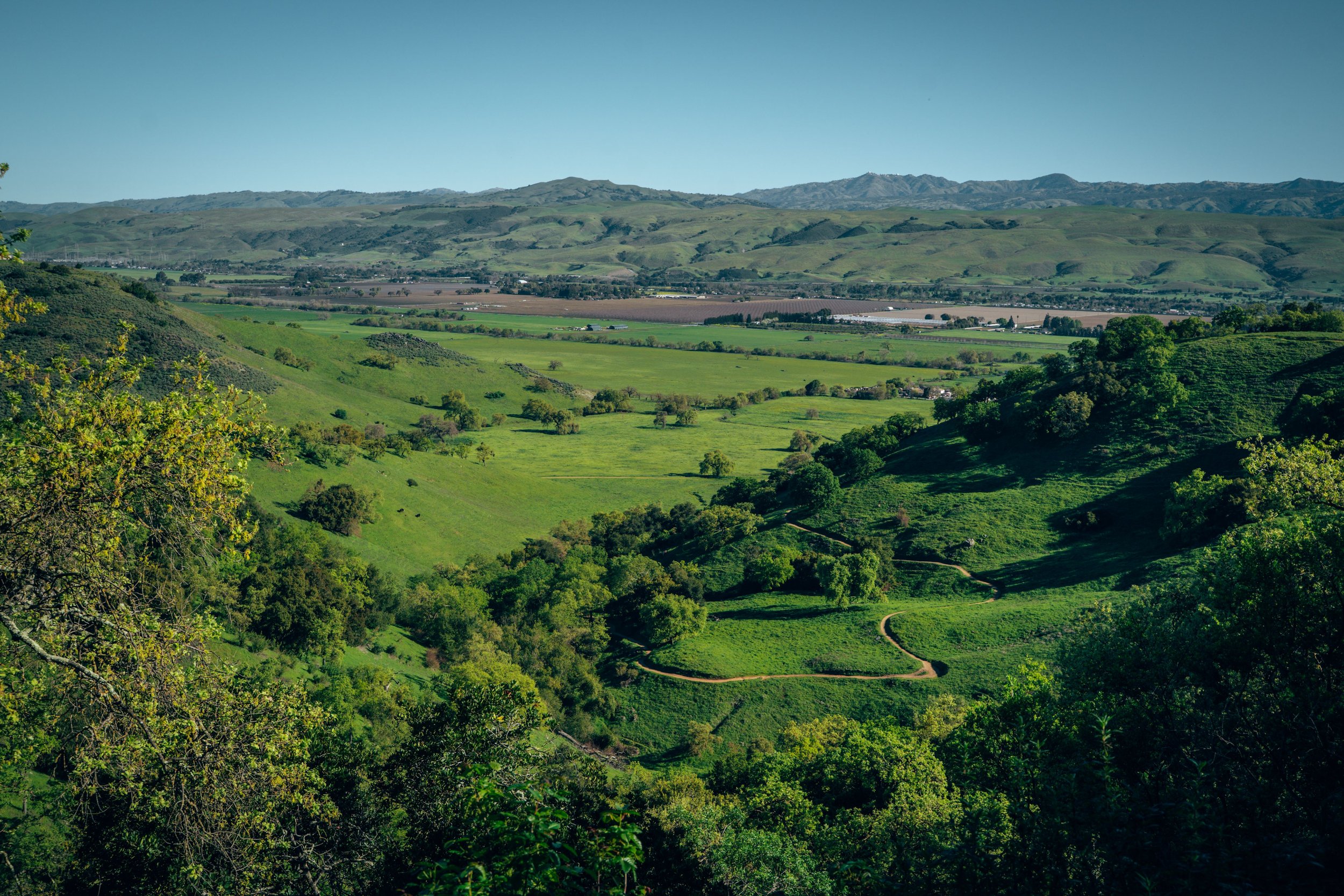 Your Morgan Hill Guide — Visit Morgan Hill