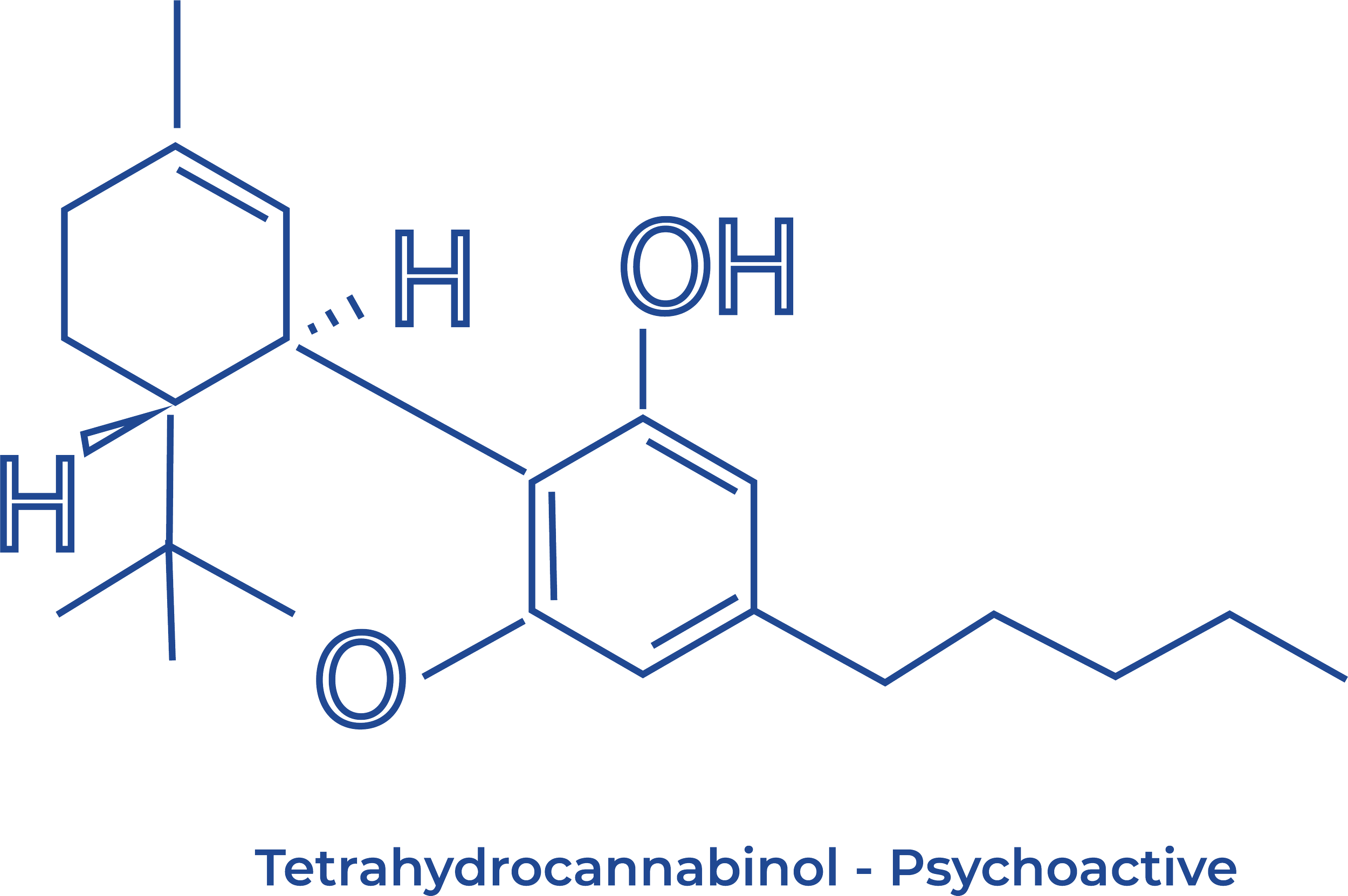 CBD Oil & Cannabis Clinic Brunswick East — INMC