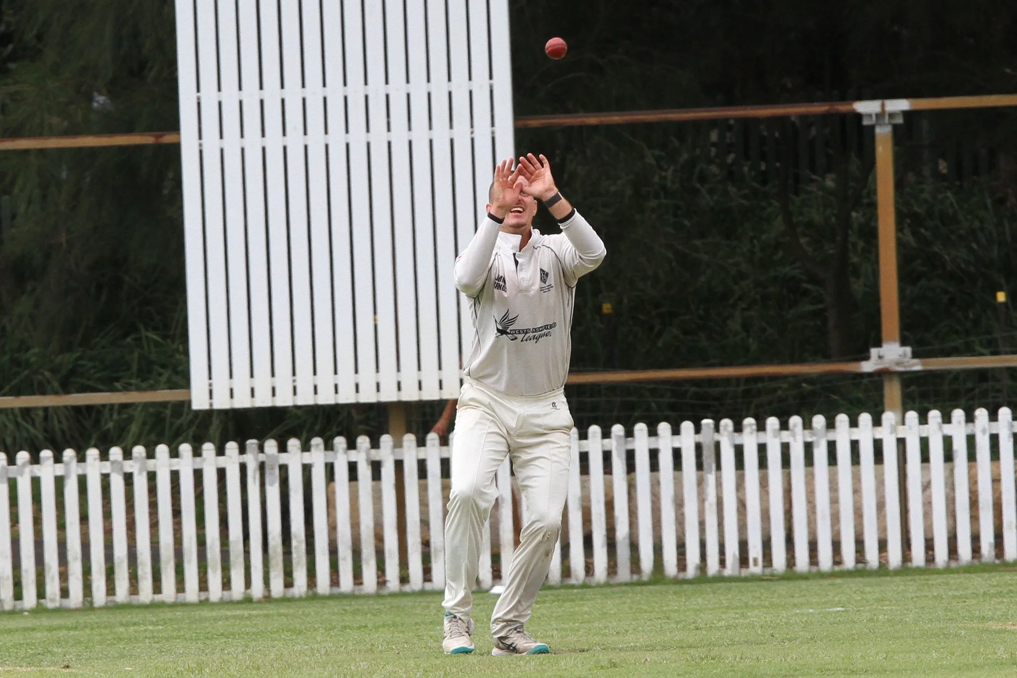 Western Suburbs District Cricket Club