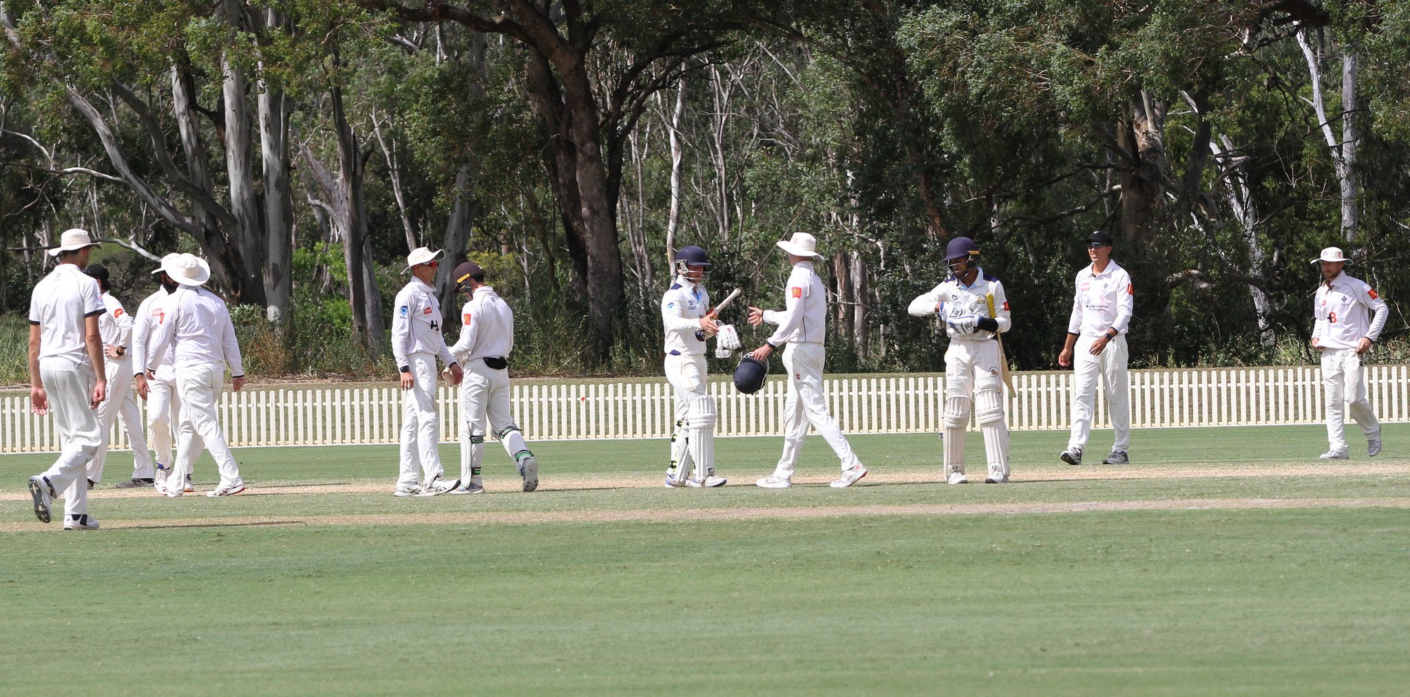 Western Suburbs District Cricket Club