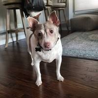 Alumni — Be Fido's Friend