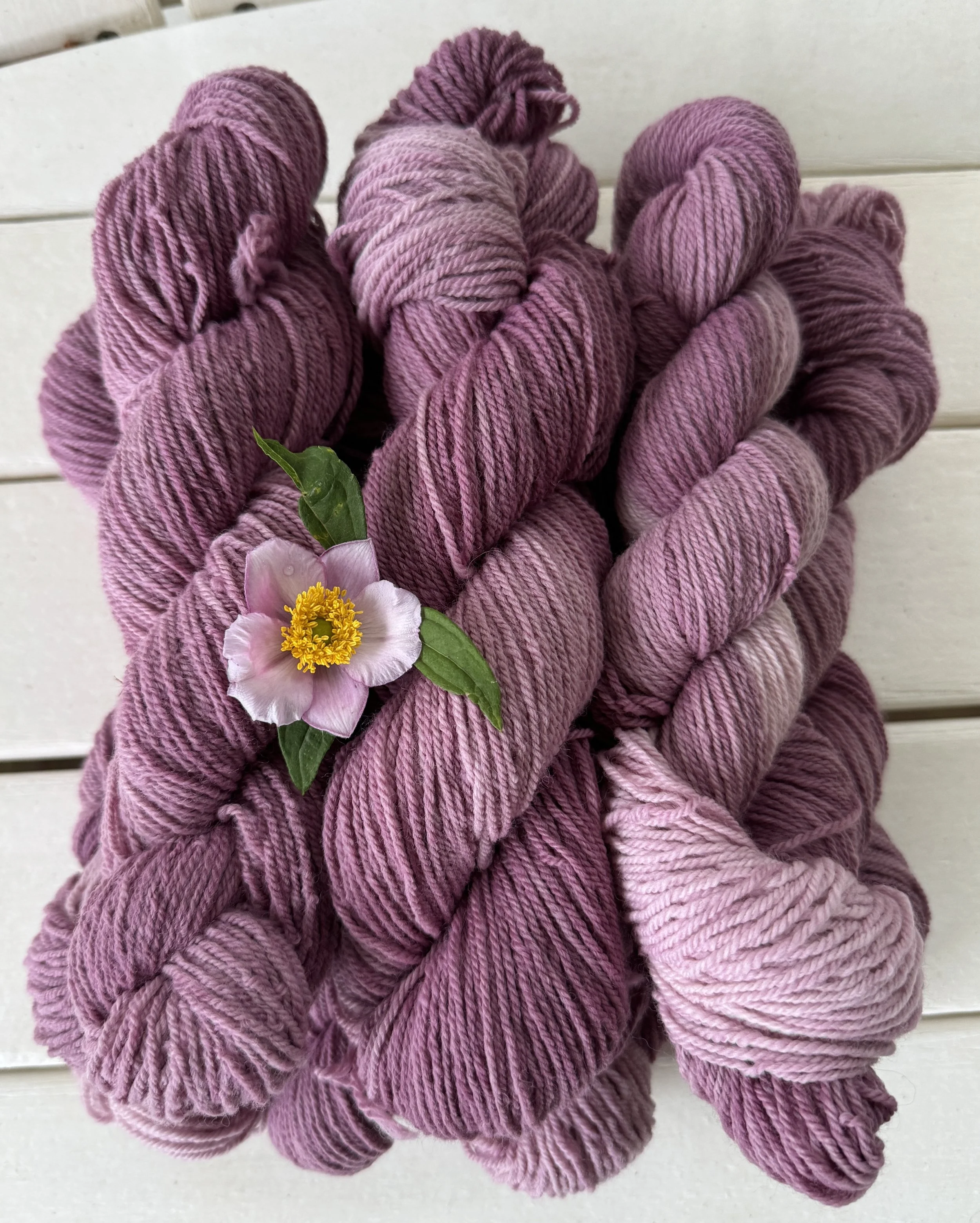 Fingering Weight 100% Cormo Wool Yarn — Wing & A Prayer Farm
