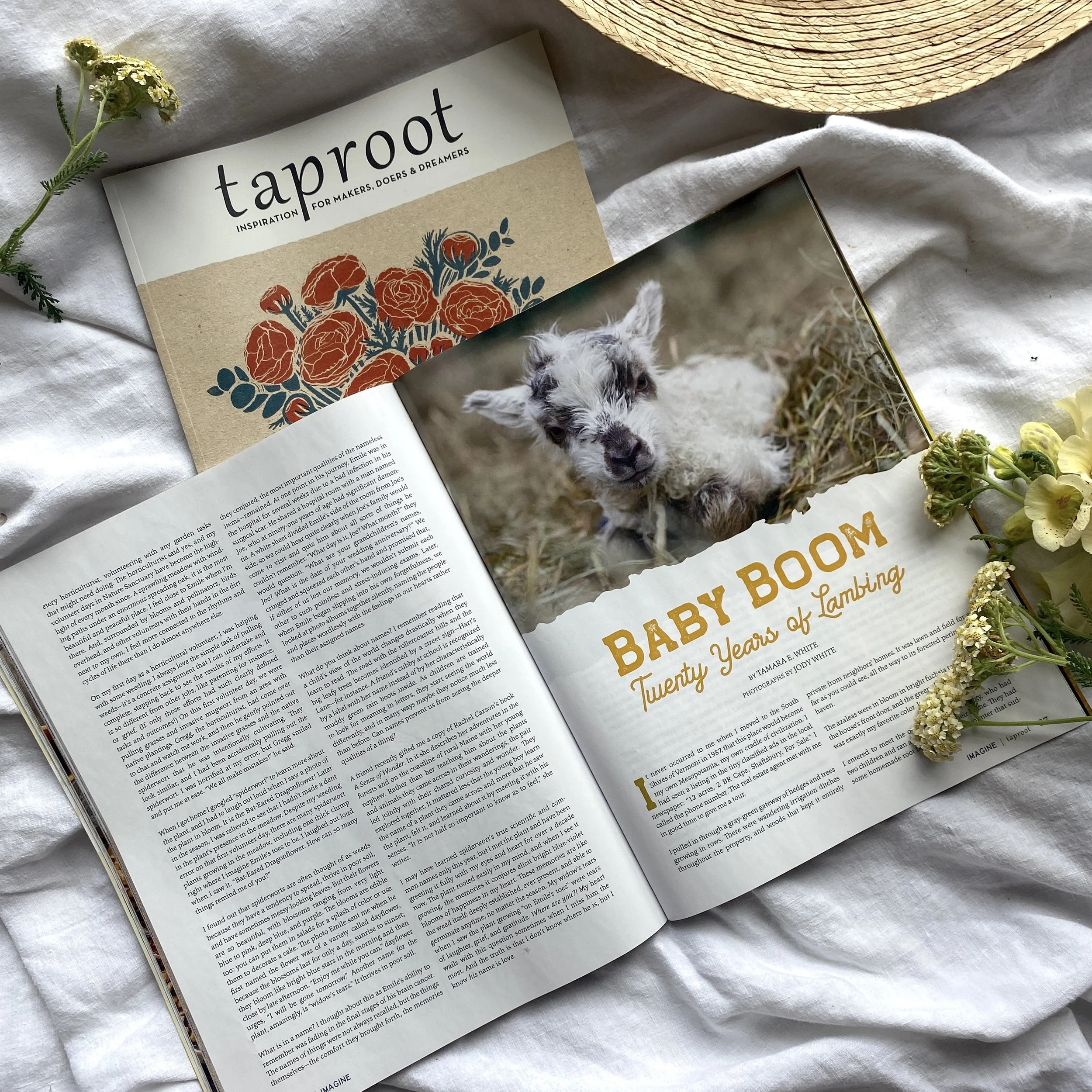 Medium Canvas Totes — Wing & A Prayer Farm