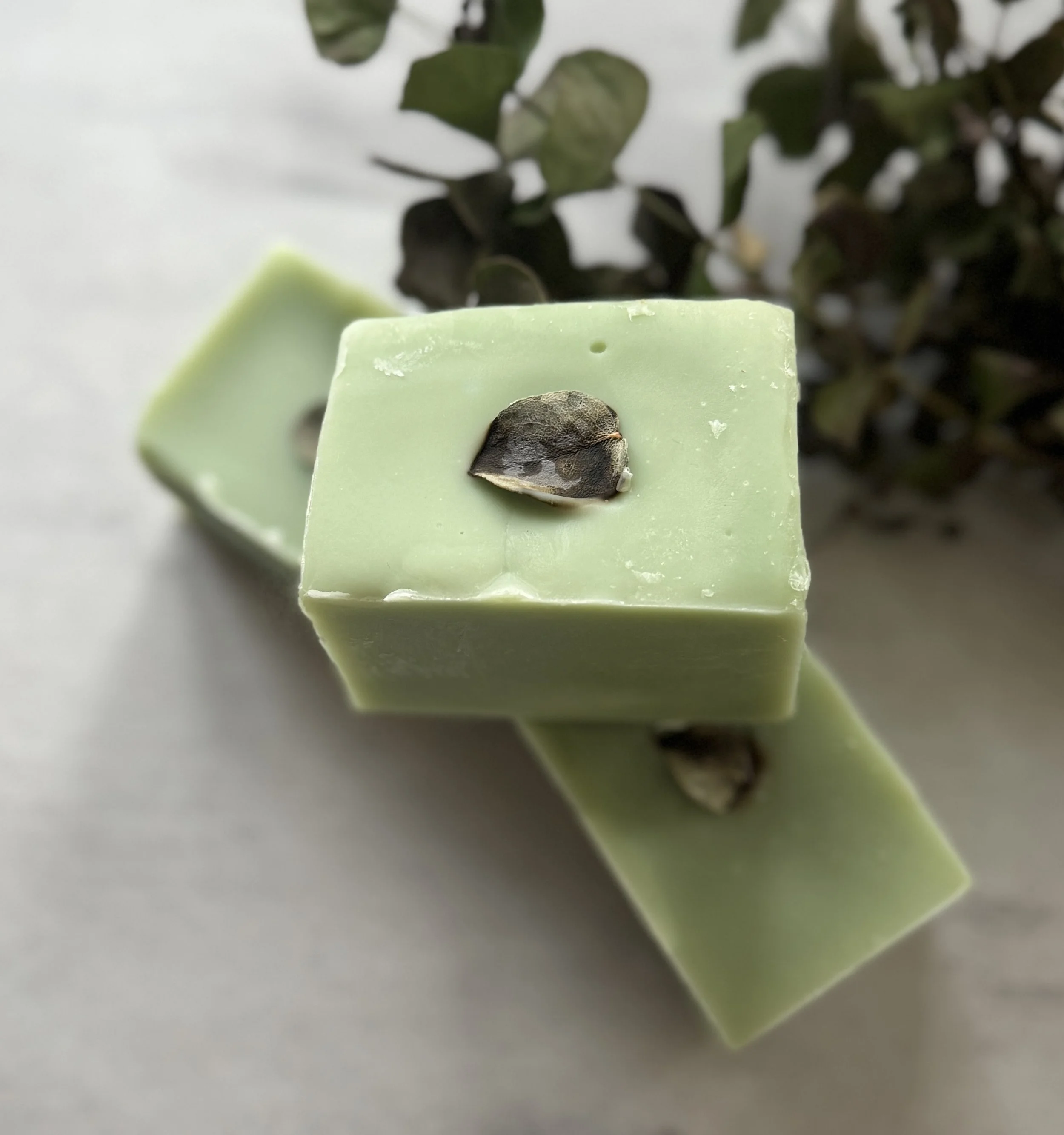 Cold Processed Tallow Soap with Calendula Oil, Sheep's Milk and Lanolin ...