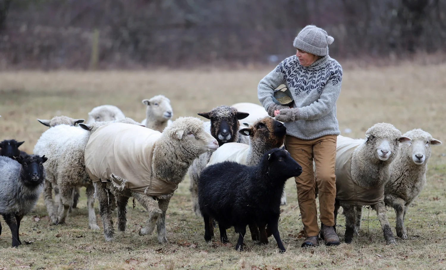 About — Wing & A Prayer Farm