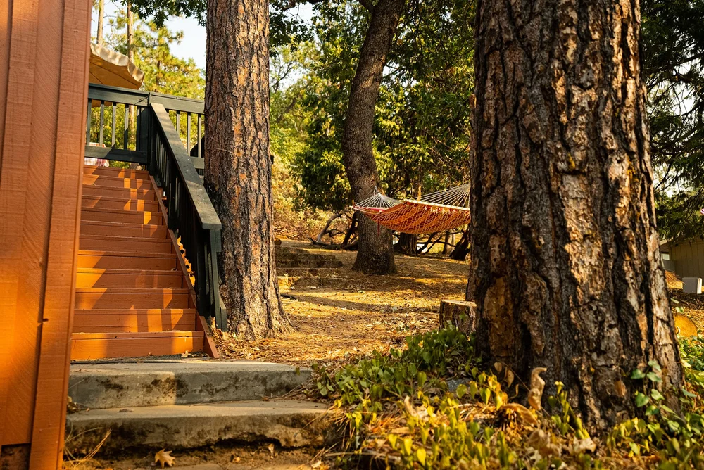 Sugar Pine Haus A-Frame — HōM | Haus of Meeshie
