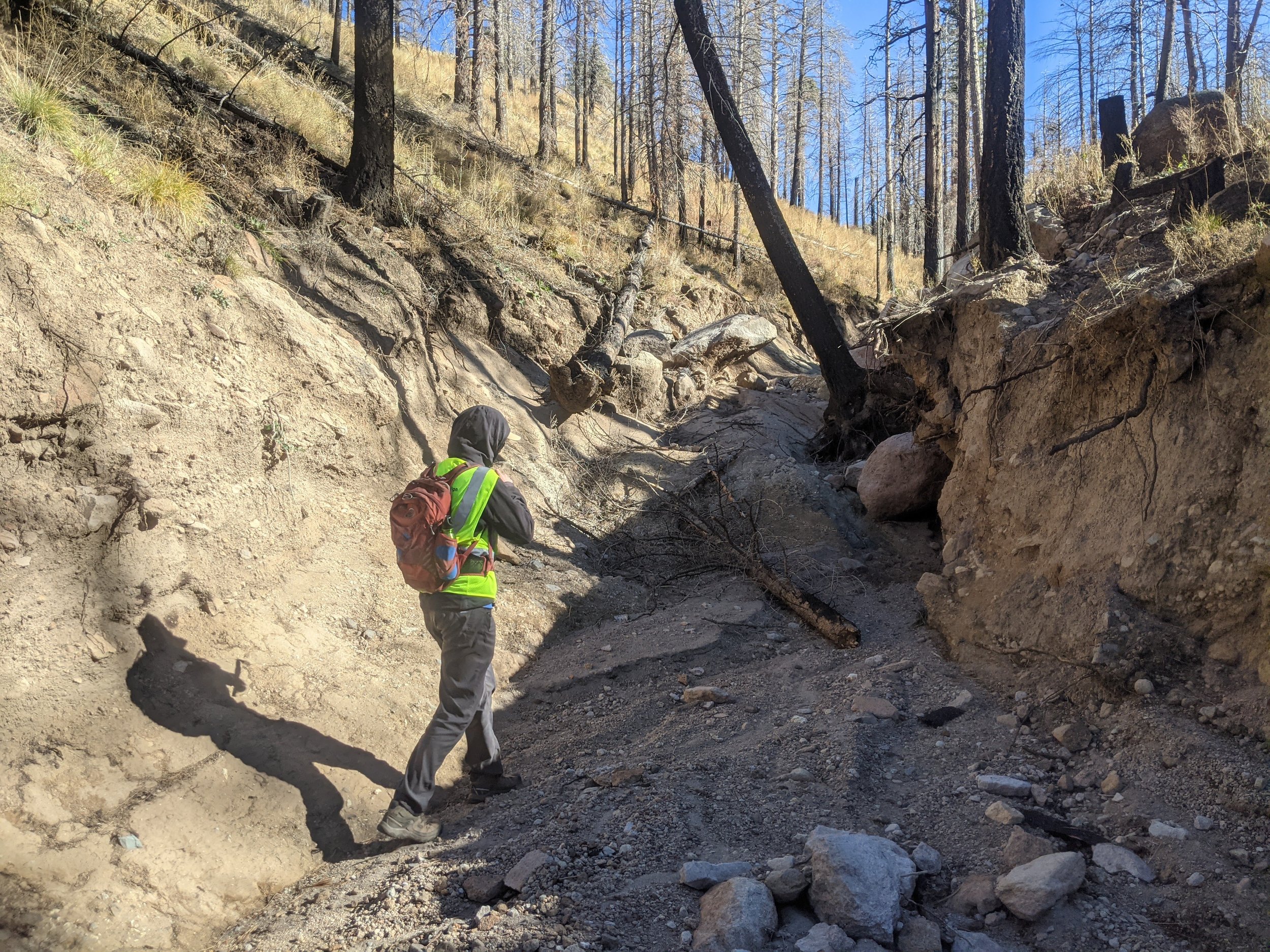 Post Wildfire Restoration — NCD Engineering