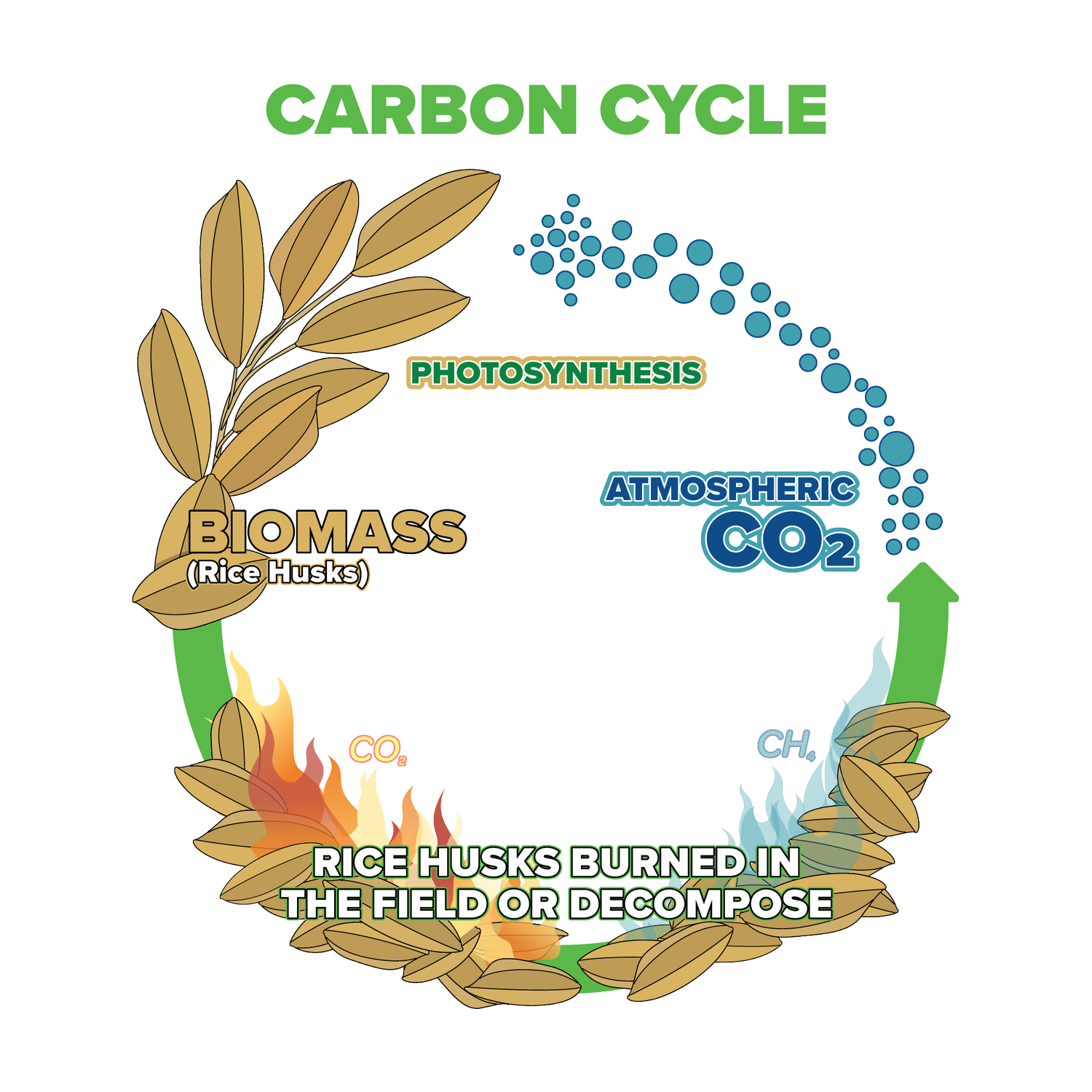 Applications — Glanris Biocarbon Biochar